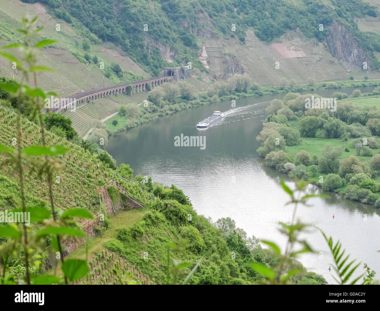 Blick auf reil an der mosel -Fotos und -Bildmaterial in hoher Auflösung ...