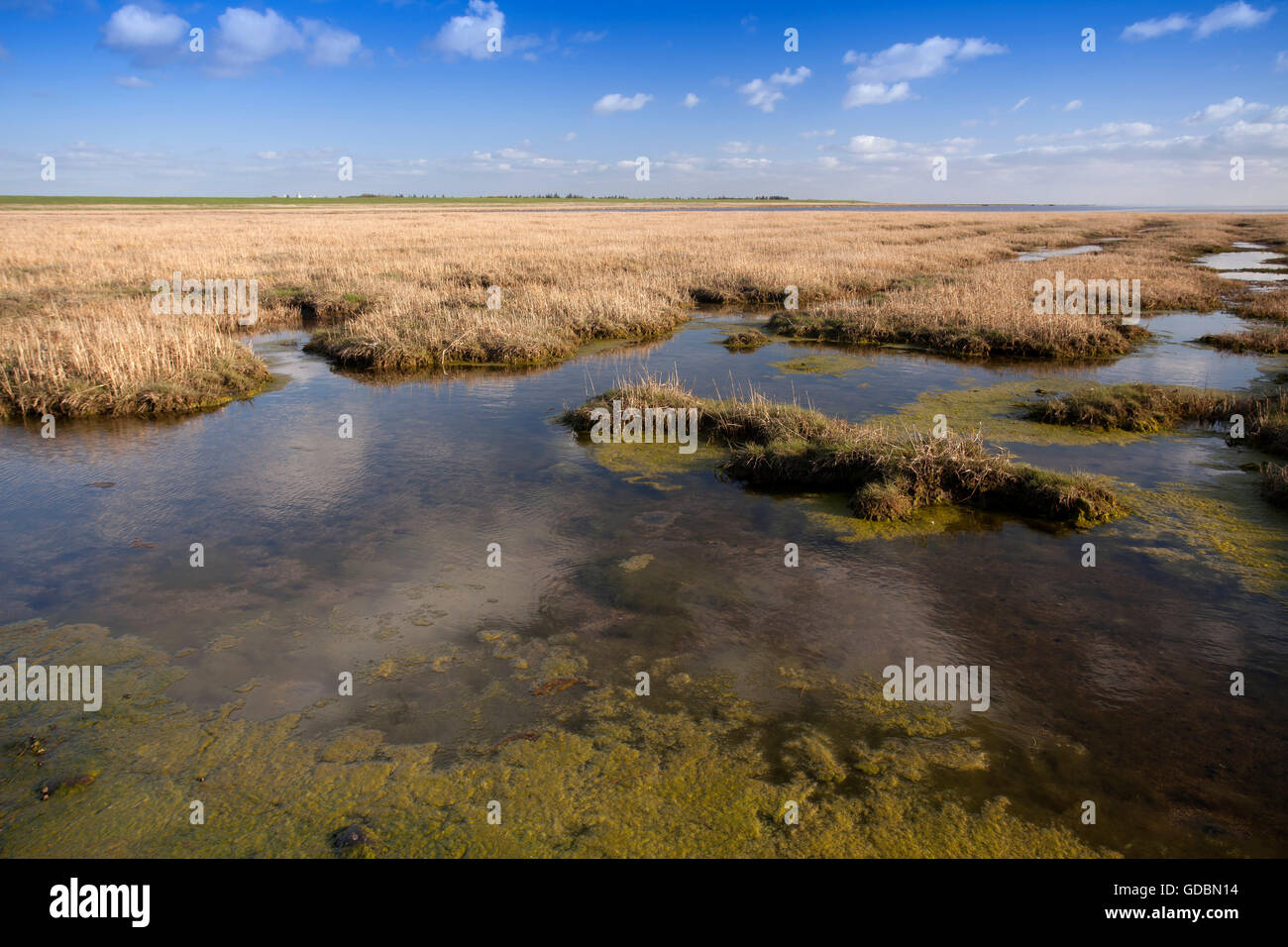 Unesco weltkulturerbe wattenmeer -Fotos und -Bildmaterial in hoher ...