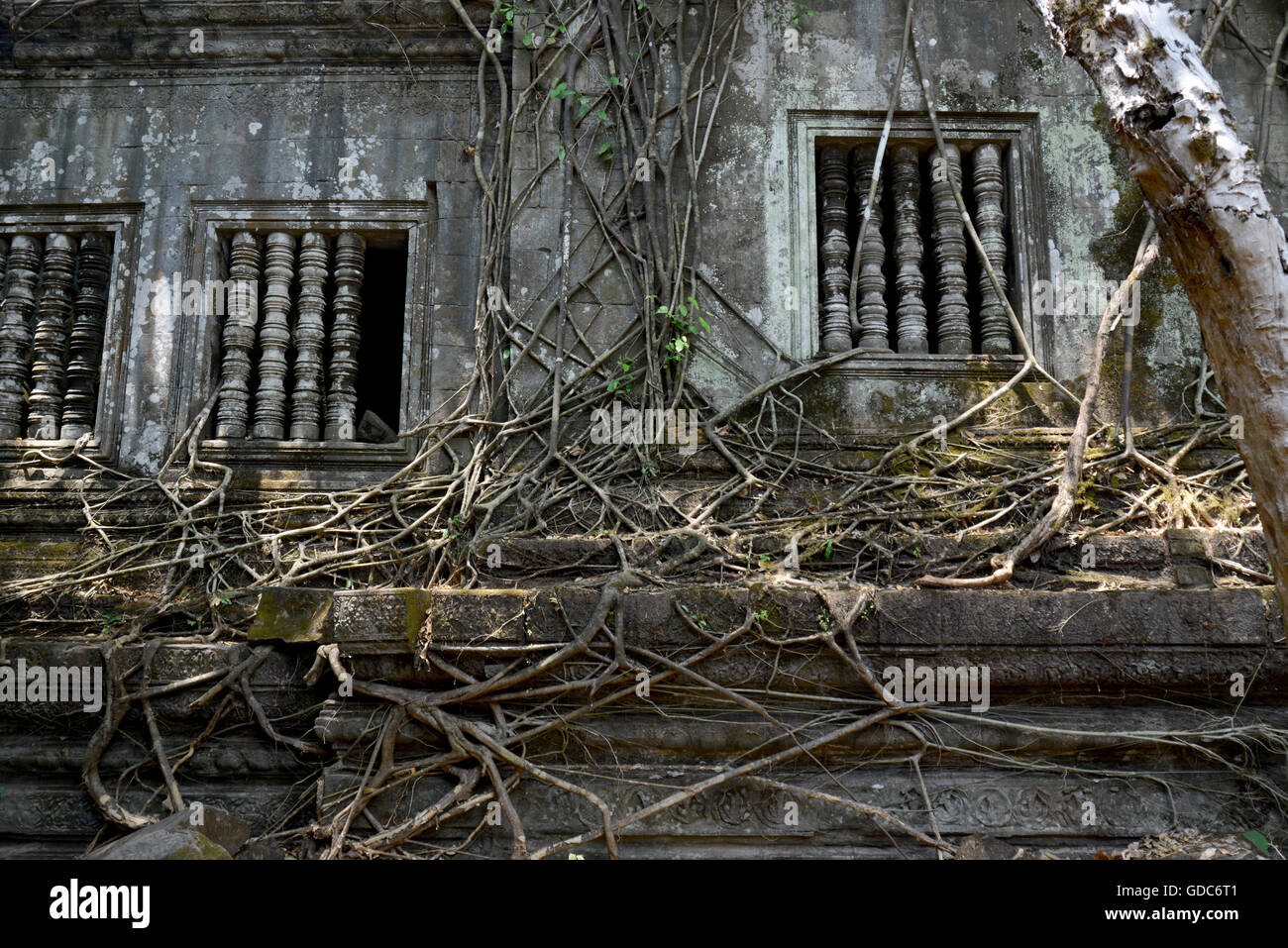 Stein steht die Ruine der Tempel von Angkor Thom in der Stadt der ... Stein steht die Ruine der Tempel von Angkor Thom in der Stadt der ...