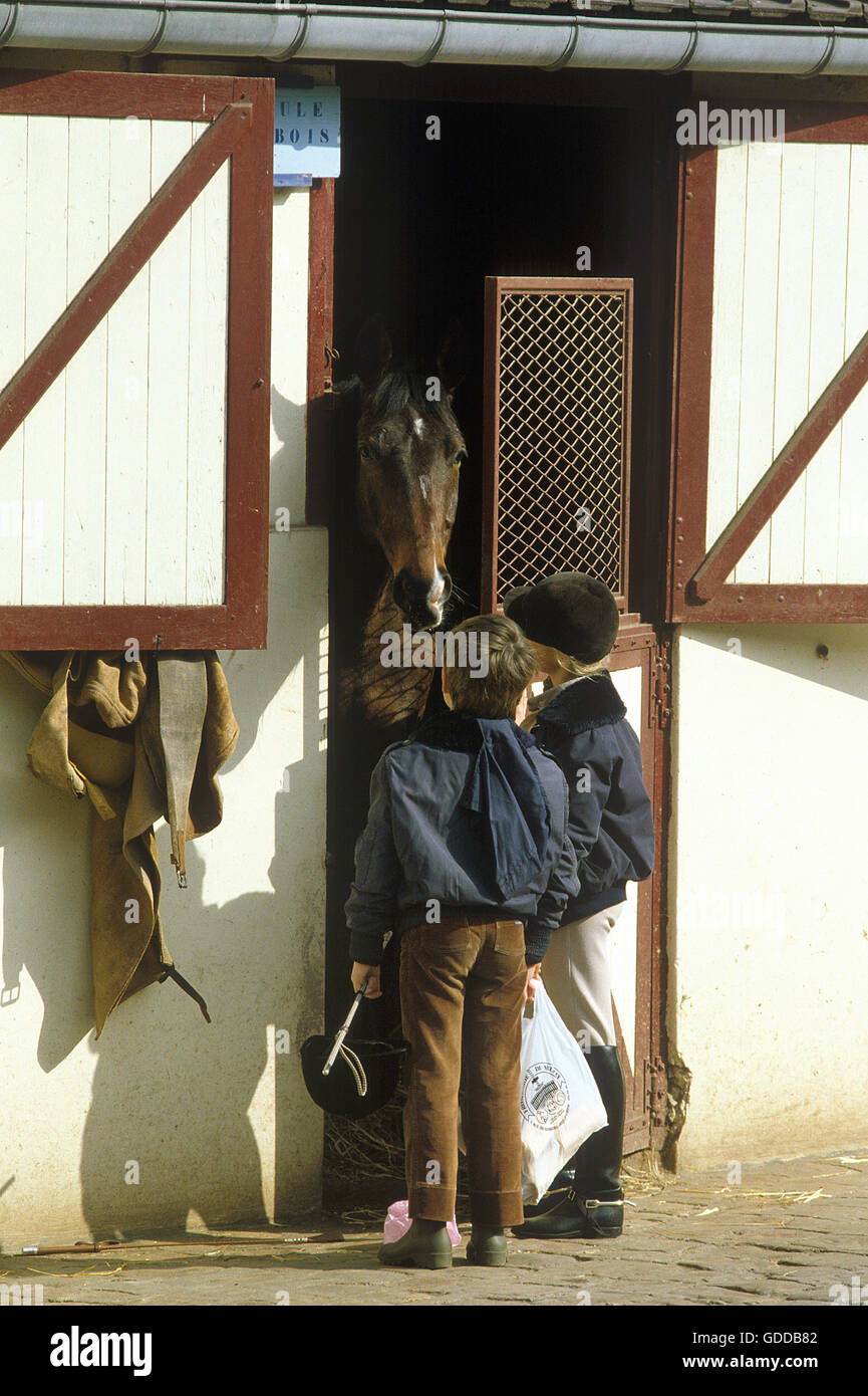Kinder mit pony im pferdebox -Fotos und -Bildmaterial in hoher ...