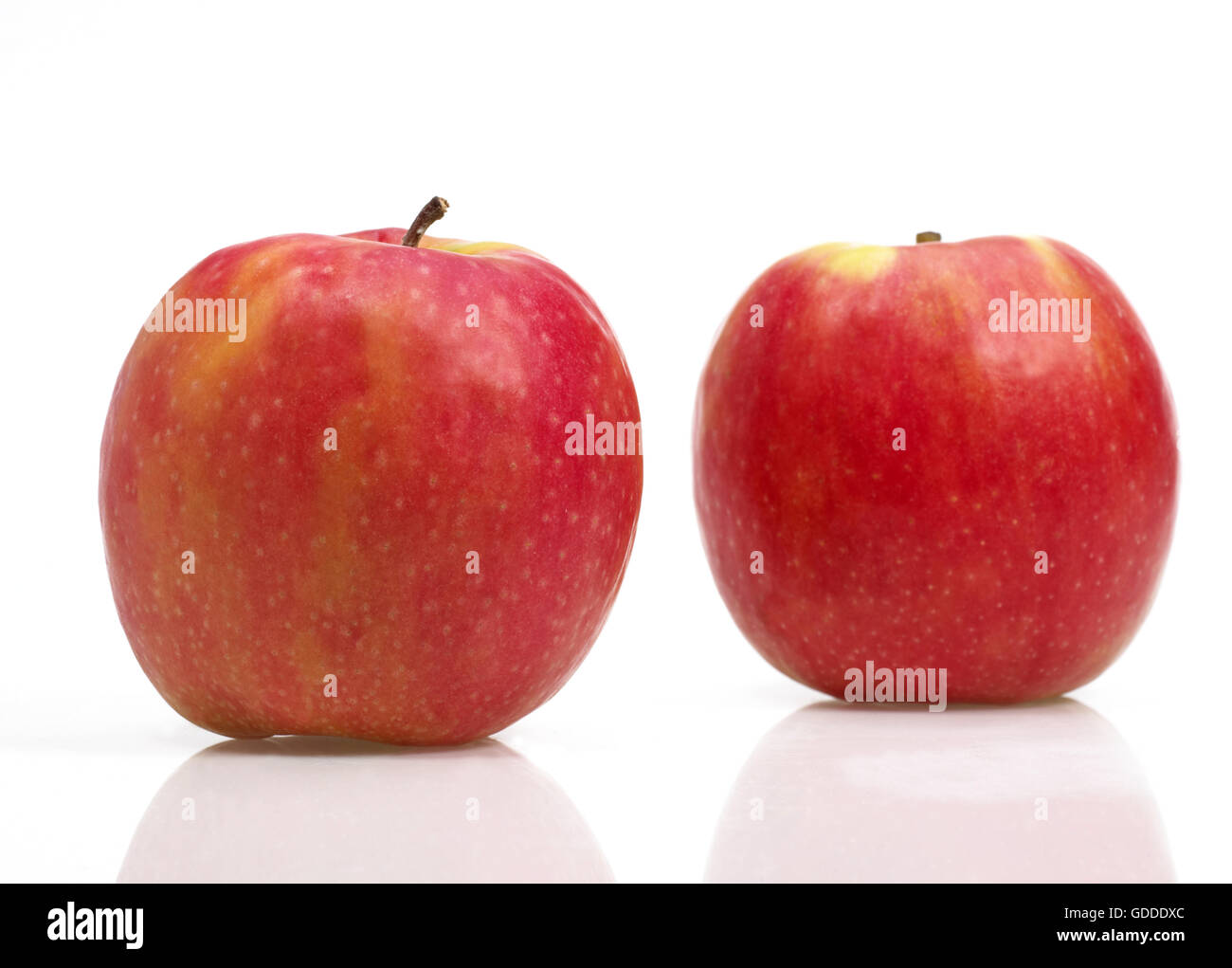 Pink lady apfel -Fotos und -Bildmaterial in hoher Auflösung – Alamy