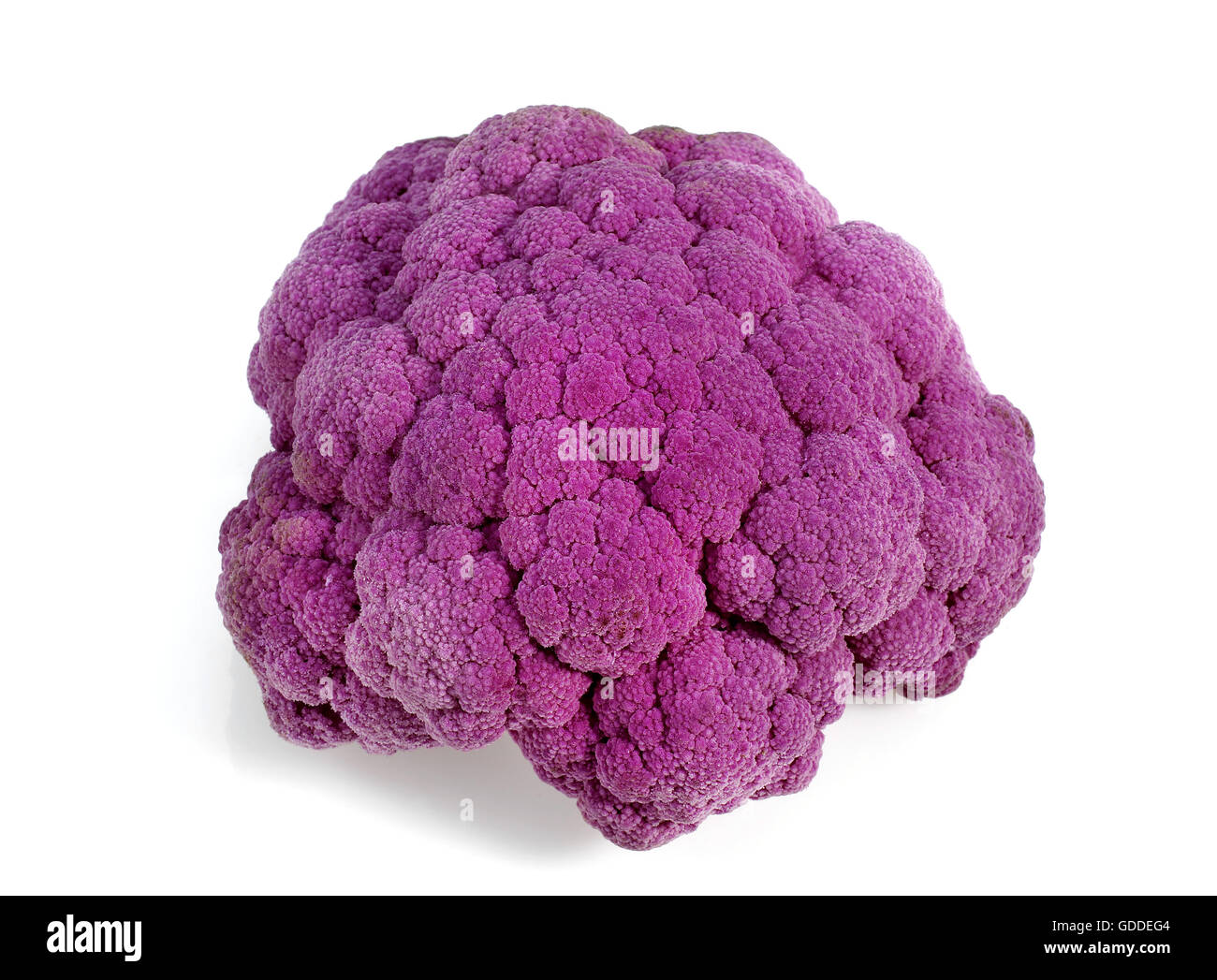 Lila blumenkohl -Fotos und -Bildmaterial in hoher Auflösung – Alamy