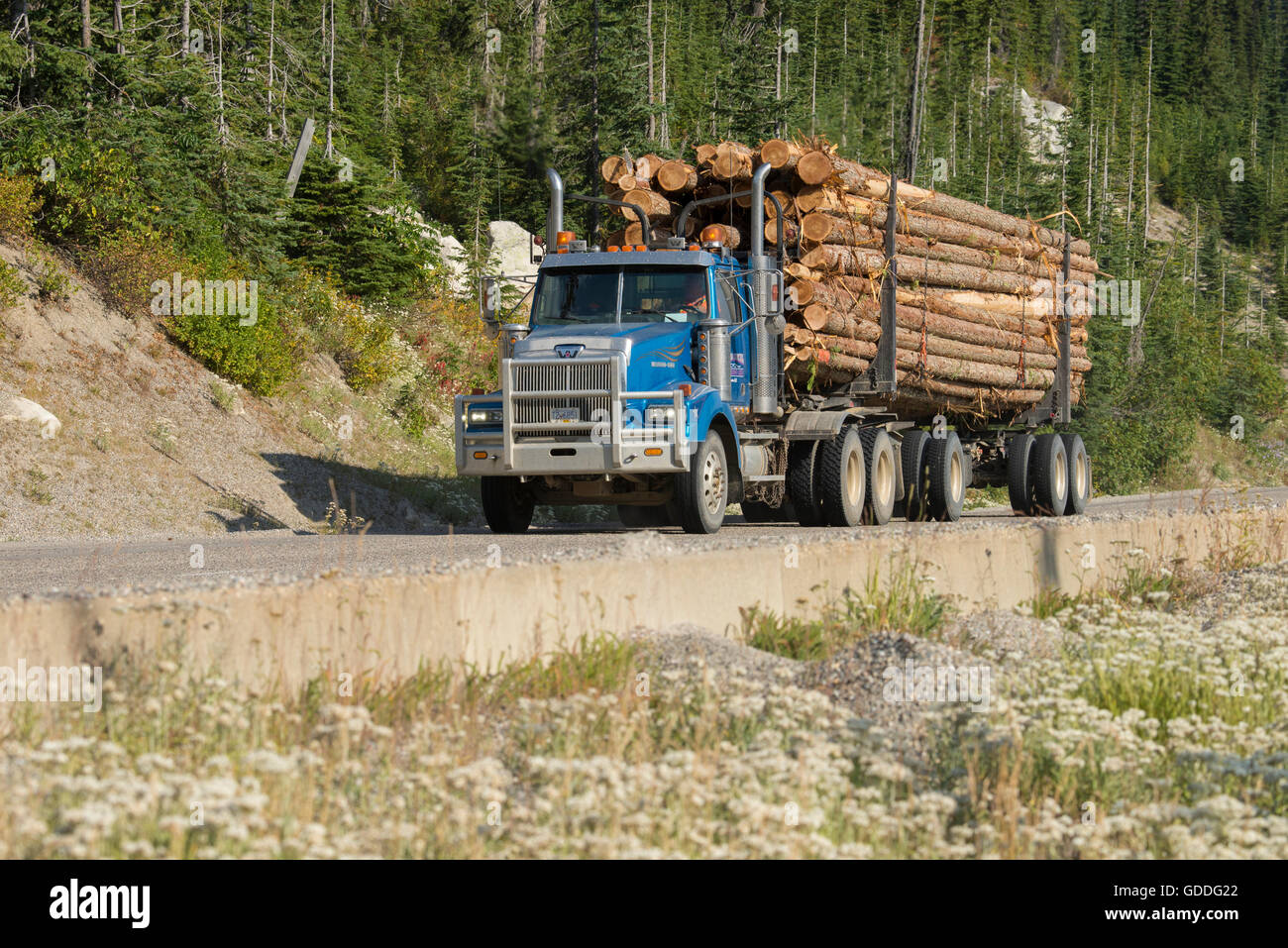 Logging Truck Stockfotos und -bilder Kaufen - Alamy