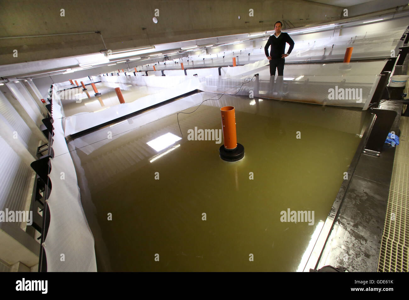 Langenpreising, Deutschland. 3. Mai 2016. Fabian Riedel, CEO der ...