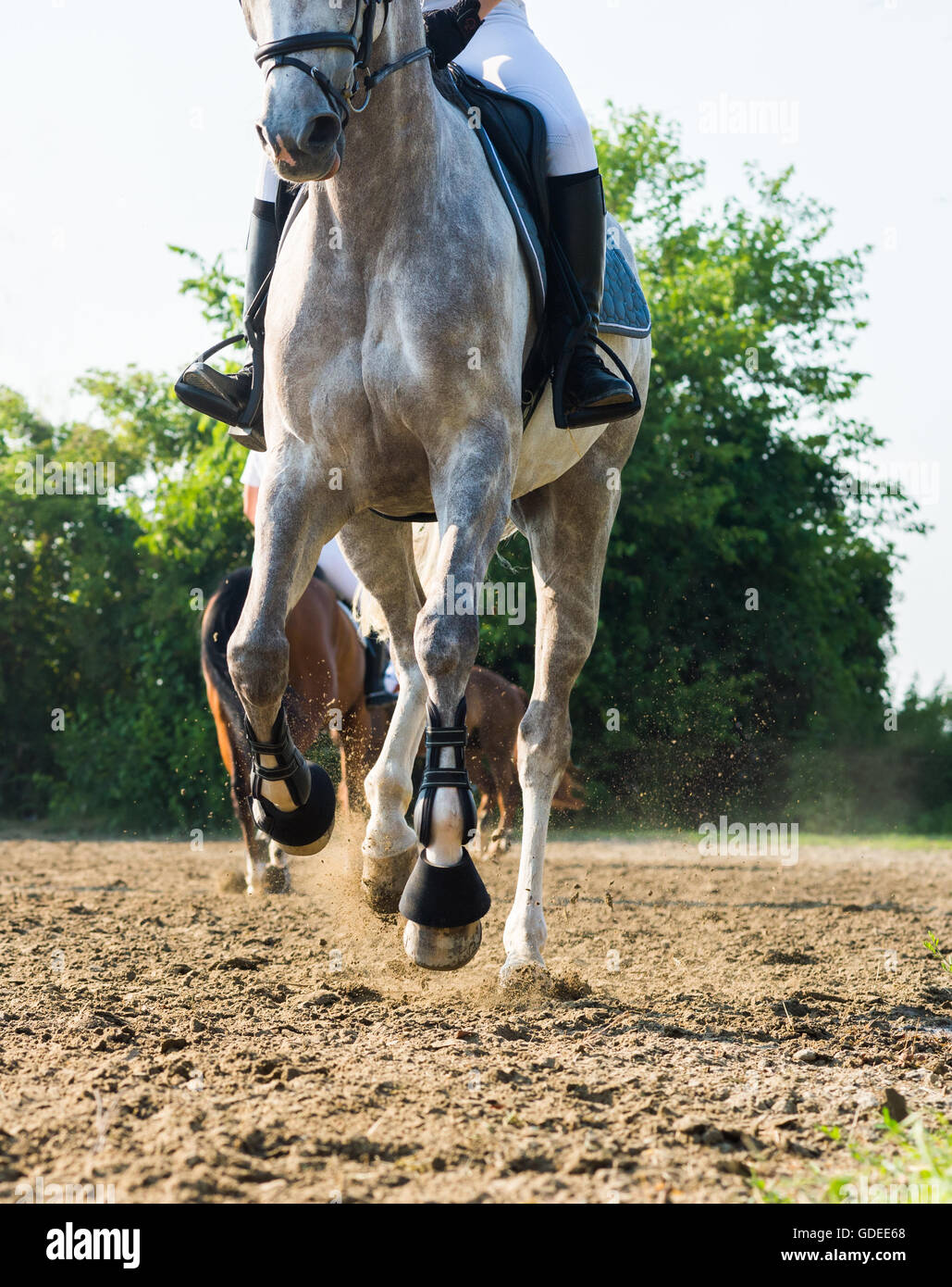 Beine laufen -Fotos und -Bildmaterial in hoher Auflösung – Alamy