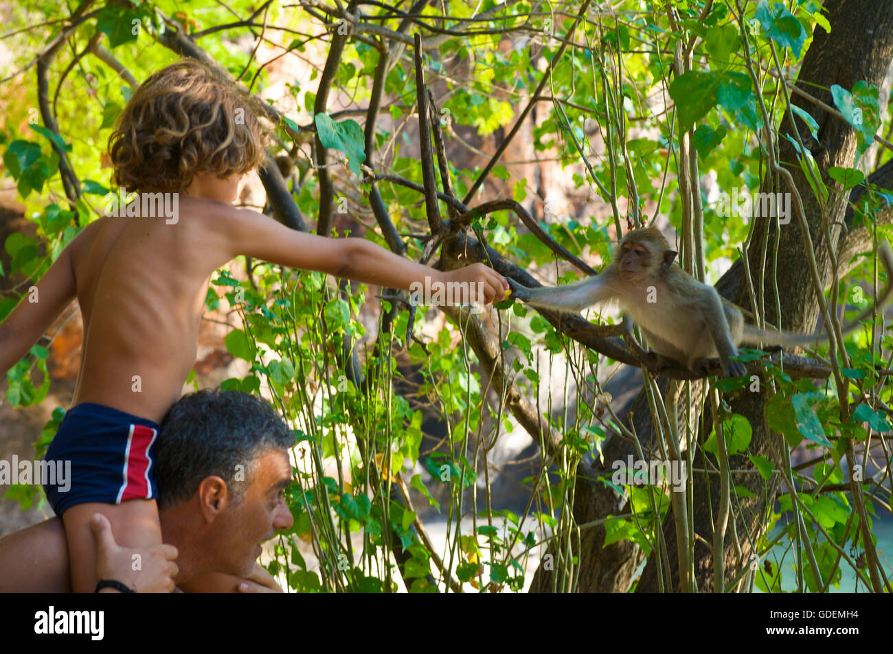 Affen junge -Fotos und -Bildmaterial in hoher Auflösung – Alamy