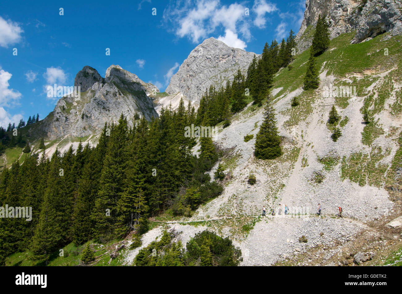 Tannheimer Berge, Tannheimer Tal, Allgäu, Bayern, Deutschland ...
