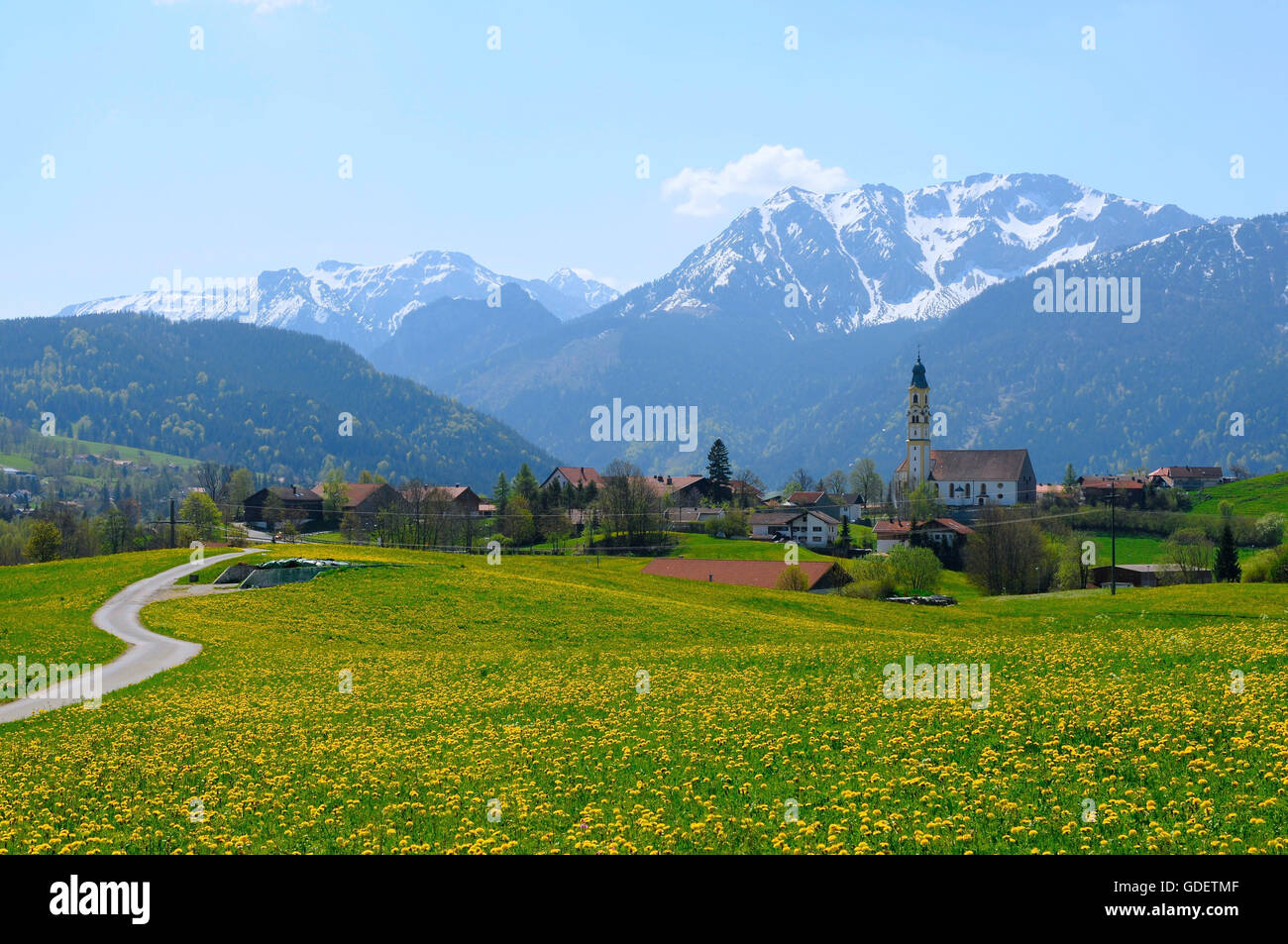 Allgaeu allgäu bavaria germany pfronten -Fotos und -Bildmaterial in ...