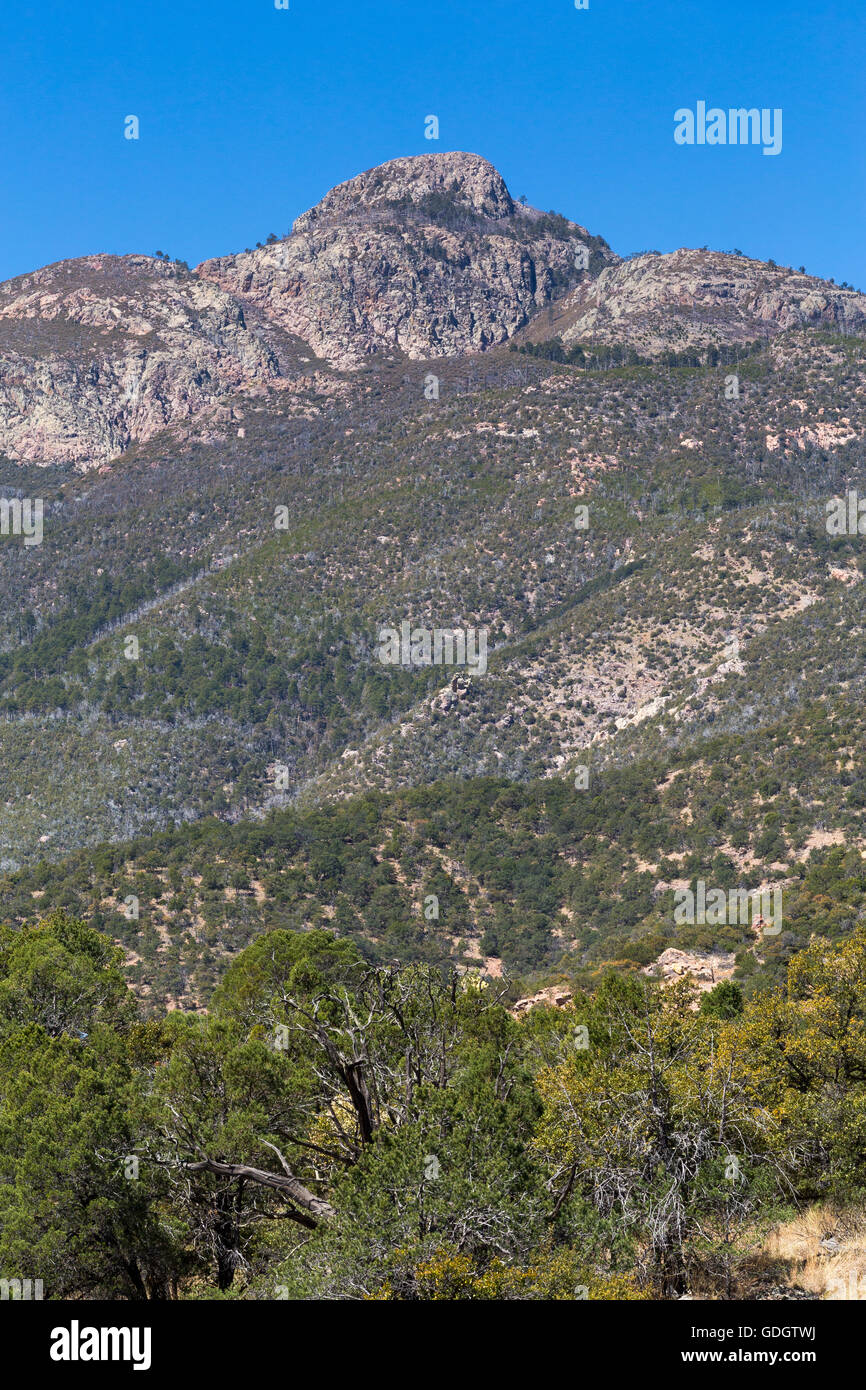Mount wrightson santa rita mountains Stockfotos und -bilder Kaufen - Alamy