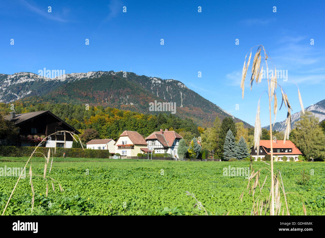 Reichenau ein der Rax: Blick auf Bergen Rax, Österreich ...