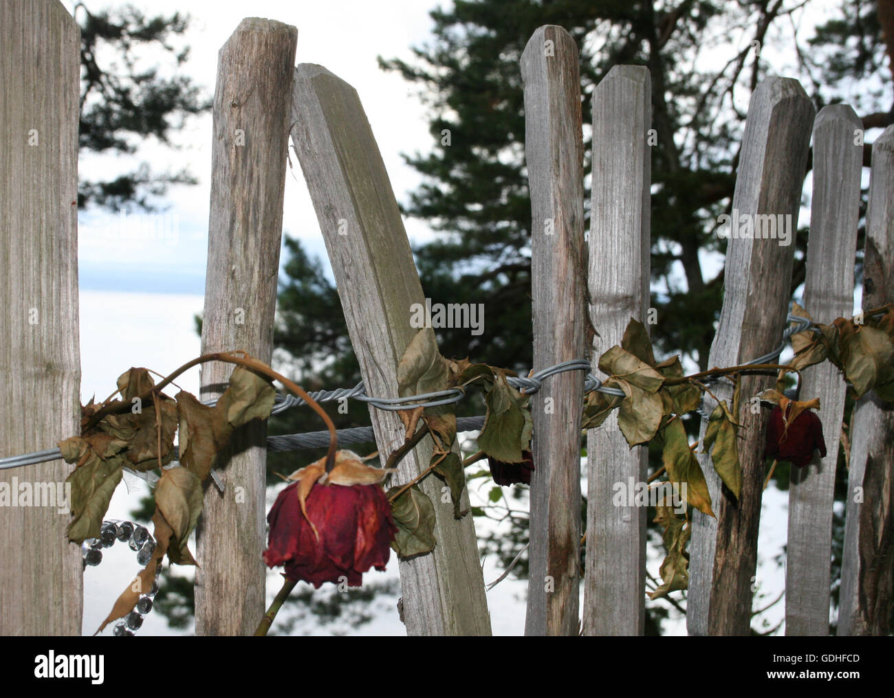 Insel utoya norwegen -Fotos und -Bildmaterial in hoher Auflösung – Alamy