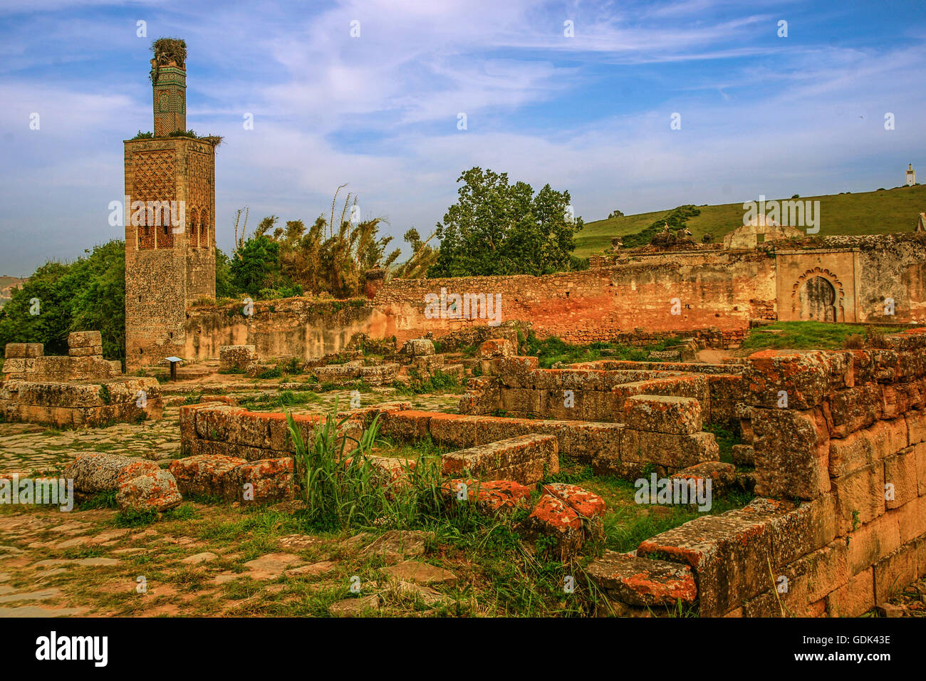 Antike und Meriniden-Moschee in der Chellah in Rabat, Marokko ...