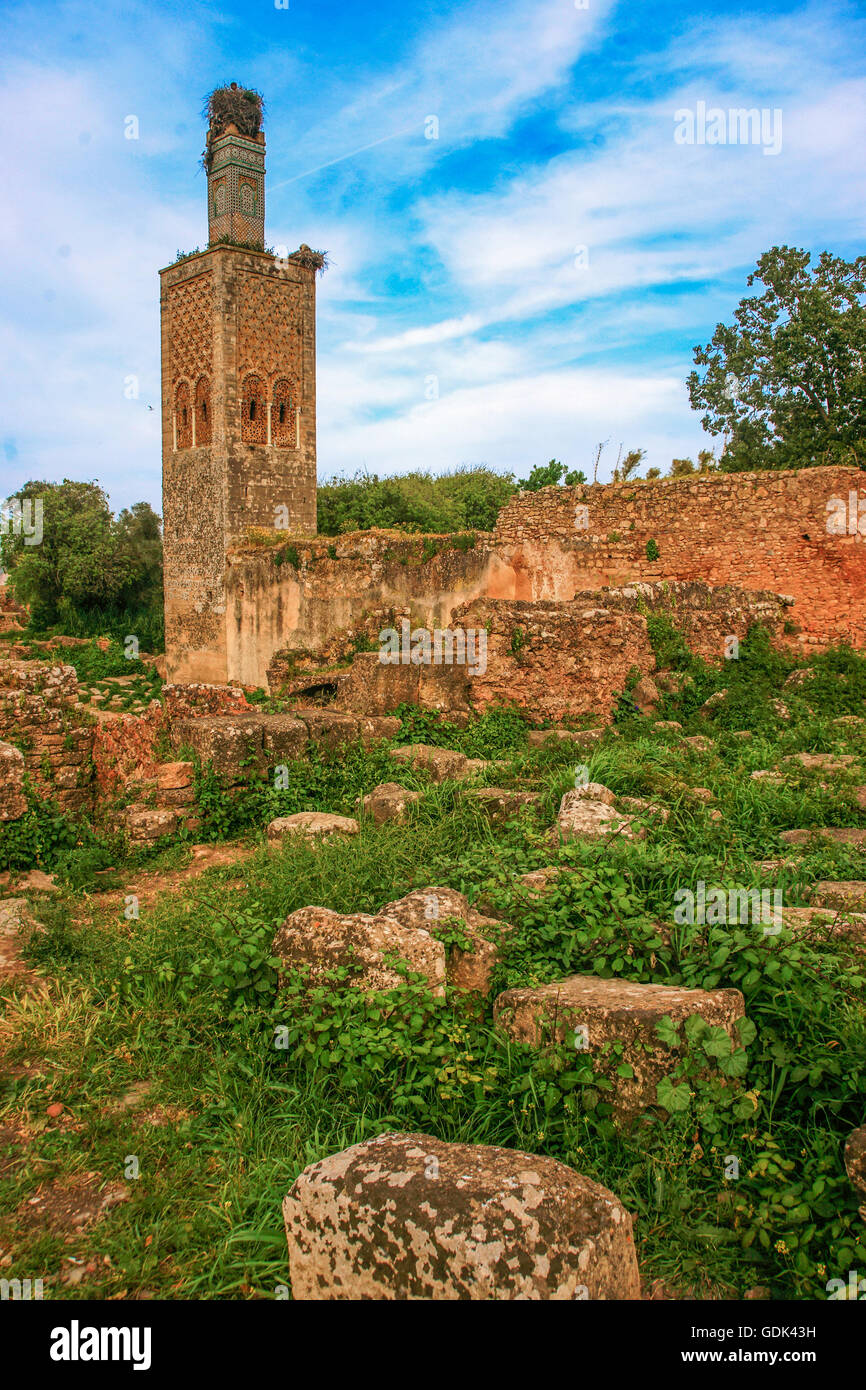 Antike und Meriniden-Moschee in der Chellah in Rabat, Marokko ...