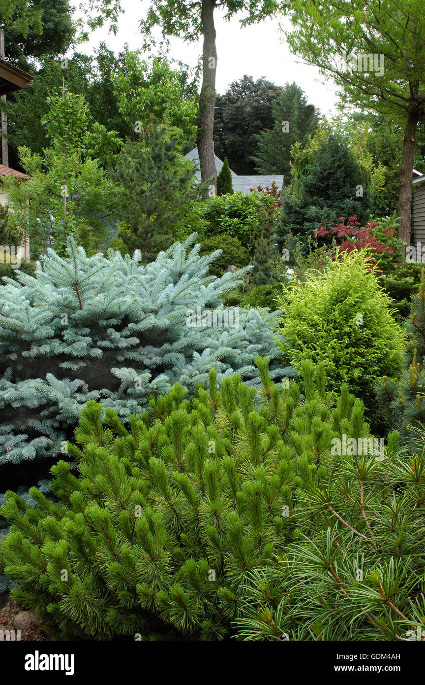 Garten blau -Fotos und -Bildmaterial in hoher Auflösung – Alamy