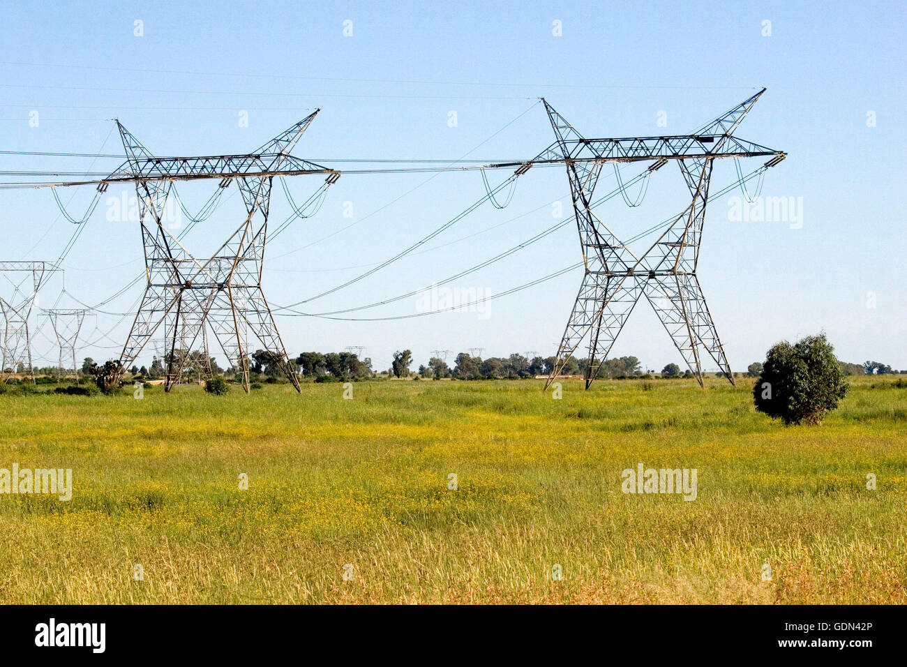 Der elektrische zustand -Fotos und -Bildmaterial in hoher Auflösung – Alamy