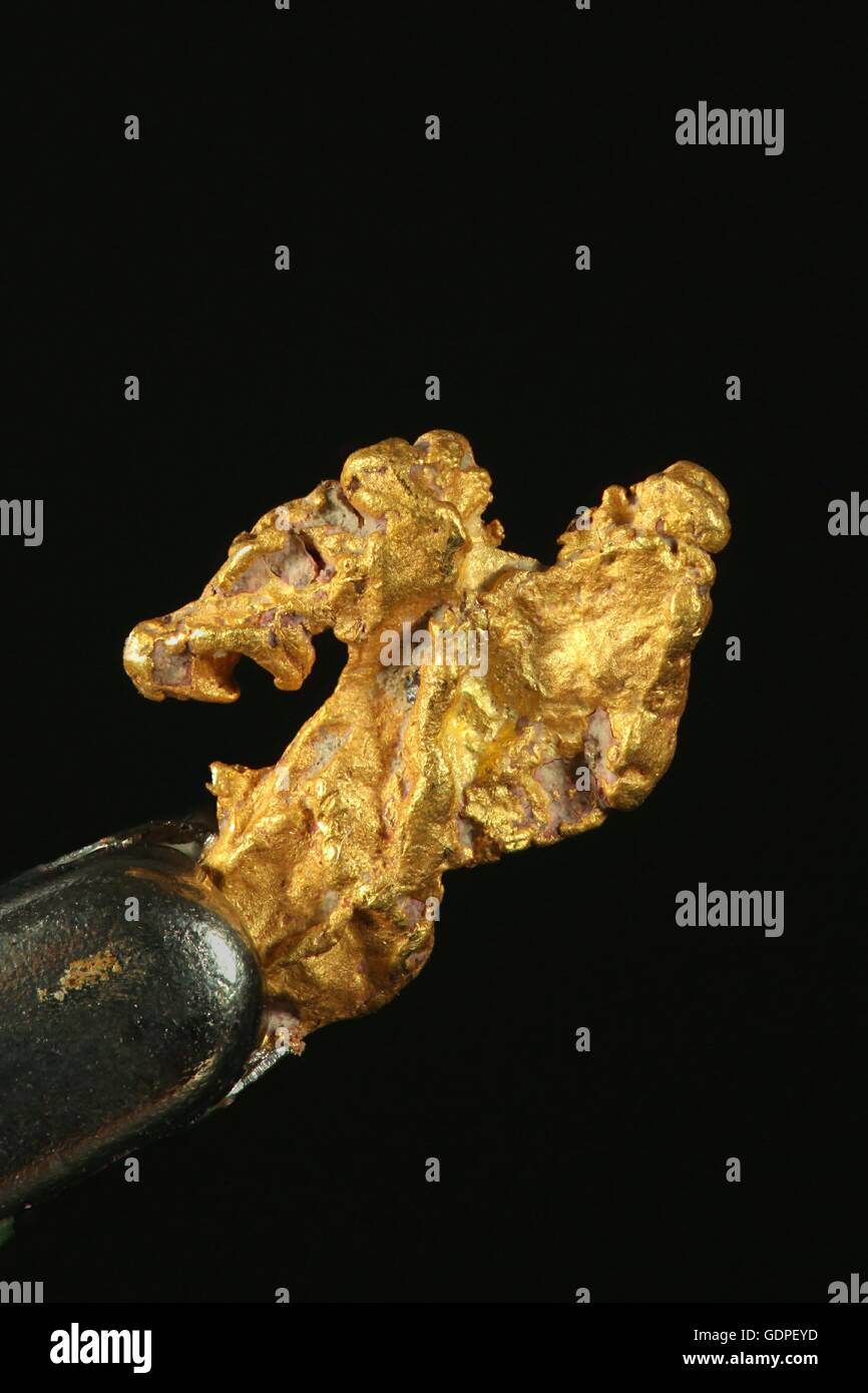 Raw Gold Nugget Stockfotos & Raw Gold Nugget Bilder - Alamy