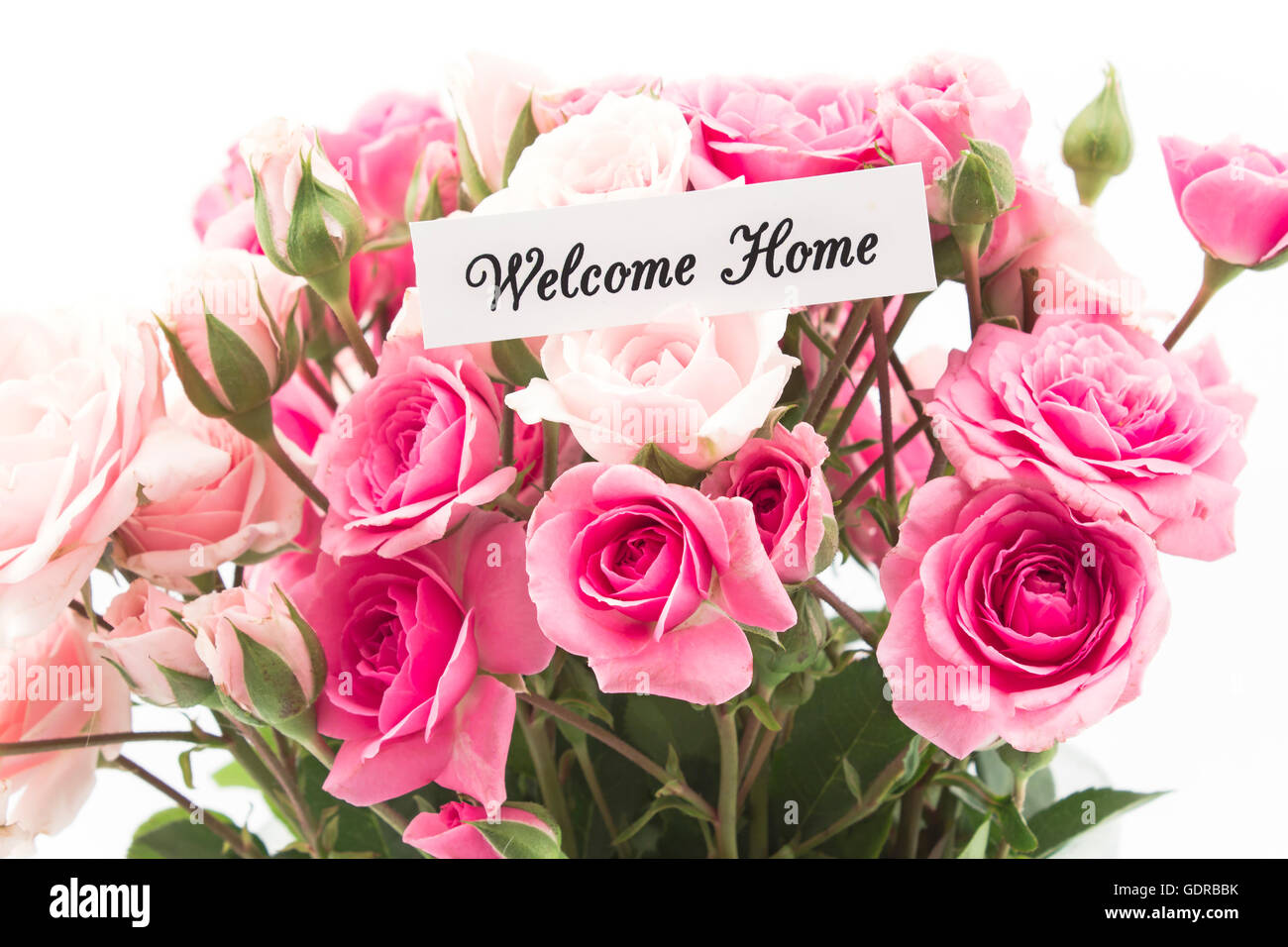 Willkommenskarte mit rosen -Fotos und -Bildmaterial in hoher Auflösung ...