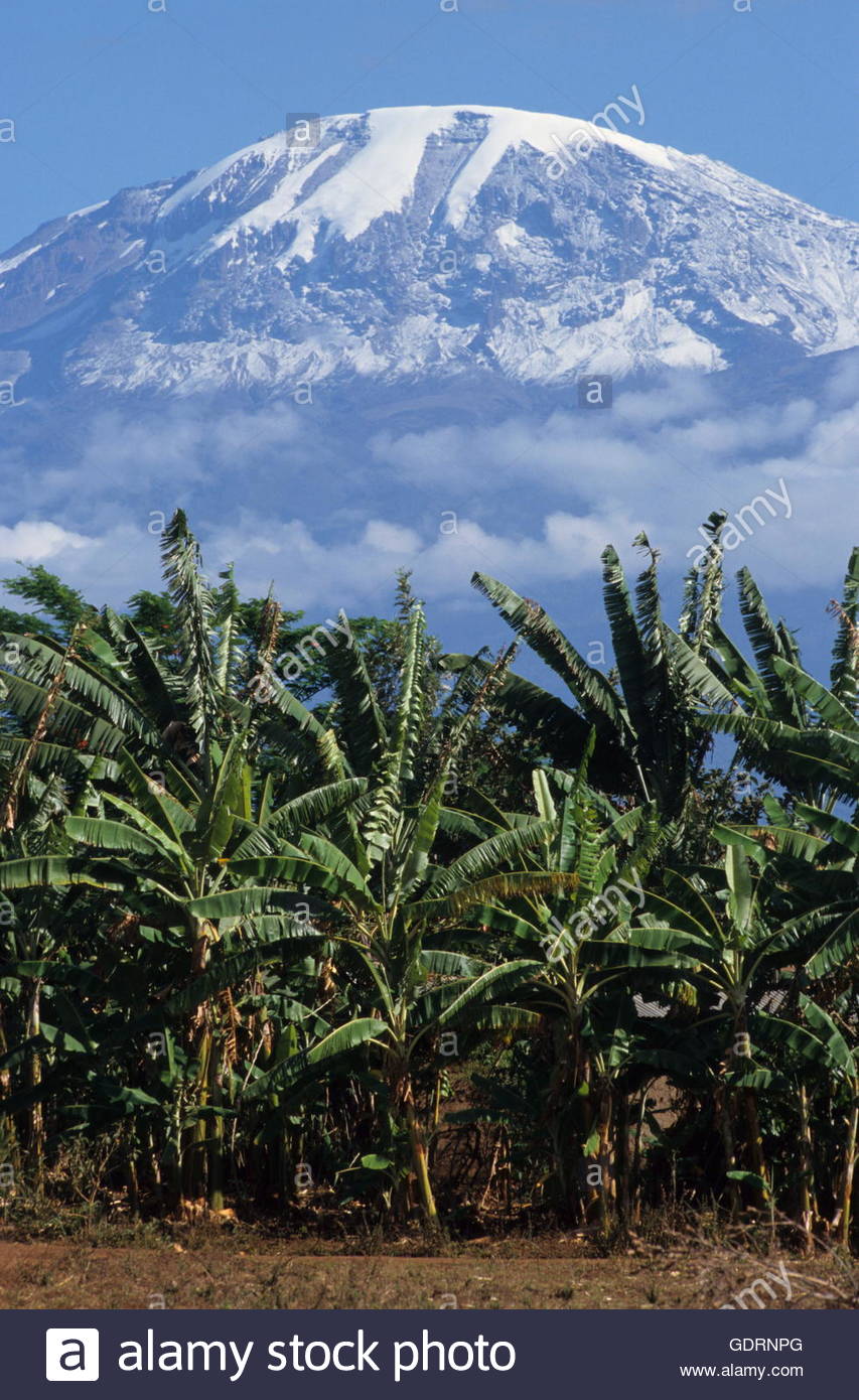 Mount Kilimanjaro Moshi Tanzania Africa Stockfotos und -bilder Kaufen ...