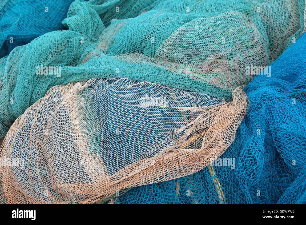 Fisch hilsa -Fotos und -Bildmaterial in hoher Auflösung – Alamy