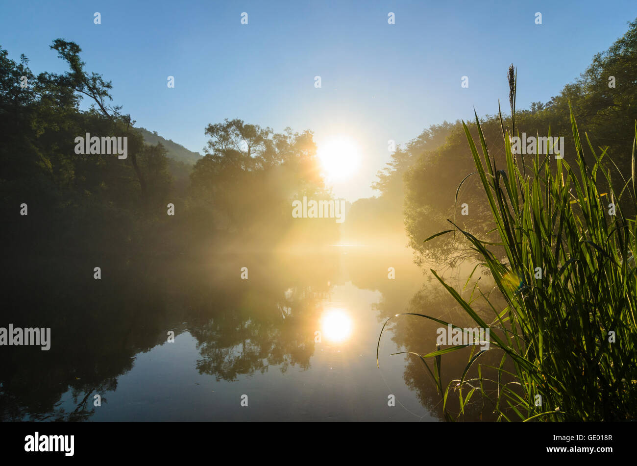 Hardegg: Thaya River Nationalpark Thayatal - Thayatal im Morgenlicht ...