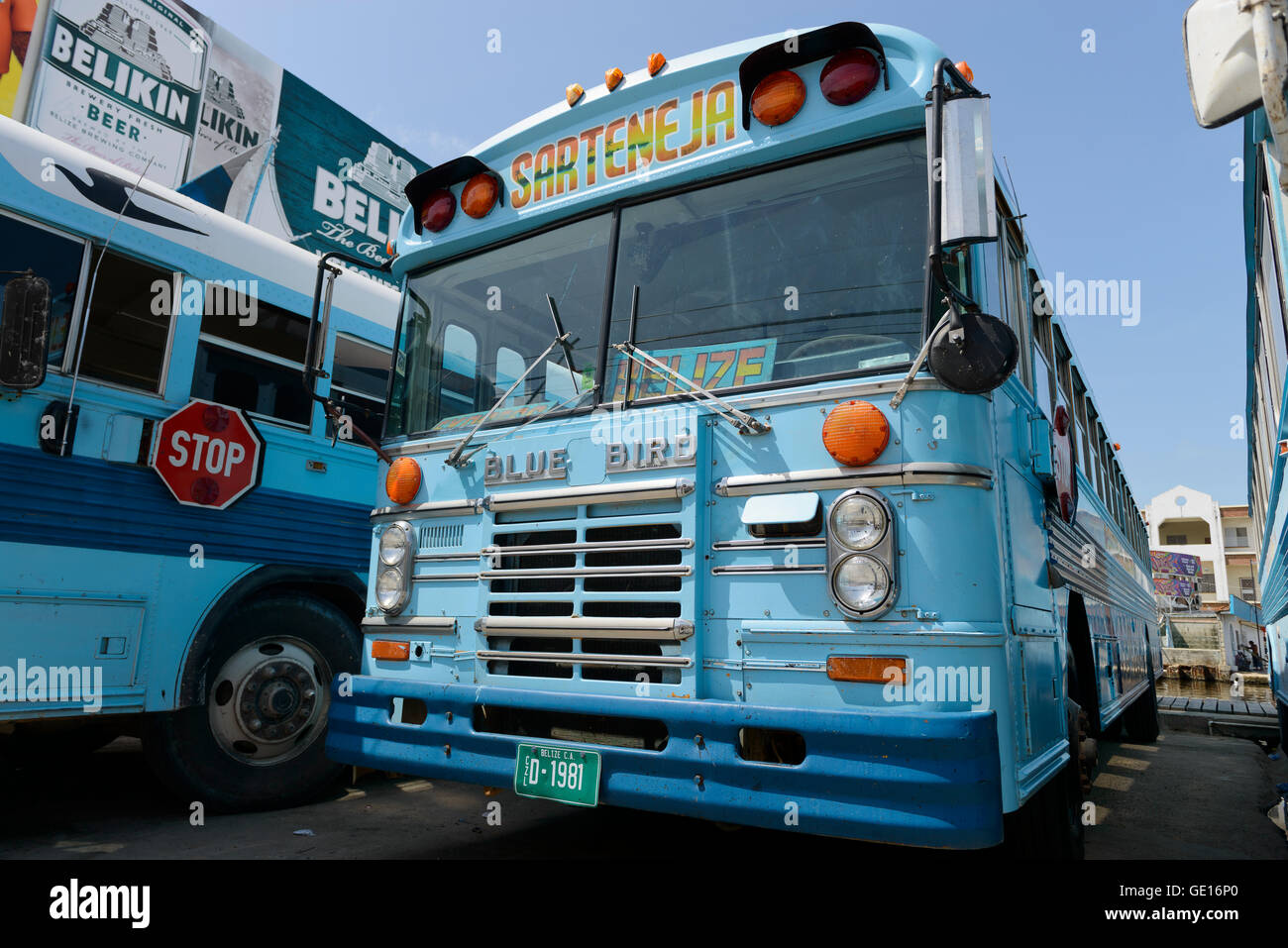 Belize City, Belize - 14. Juli 2016: Alte Blue Bird Busse noch im ...
