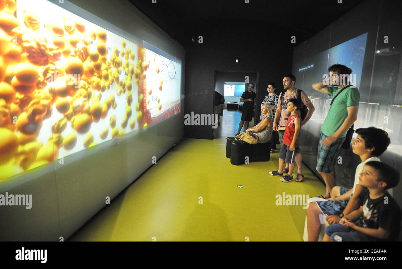 Die Ausstellung von Johann Gregor Mendel in der Mendel Museum der ...