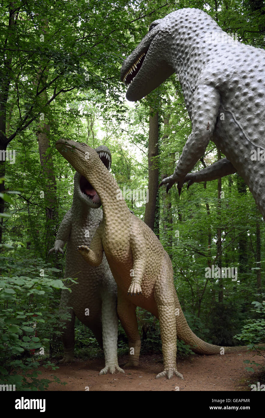 Antrodemus -Fotos und -Bildmaterial in hoher Auflösung – Alamy