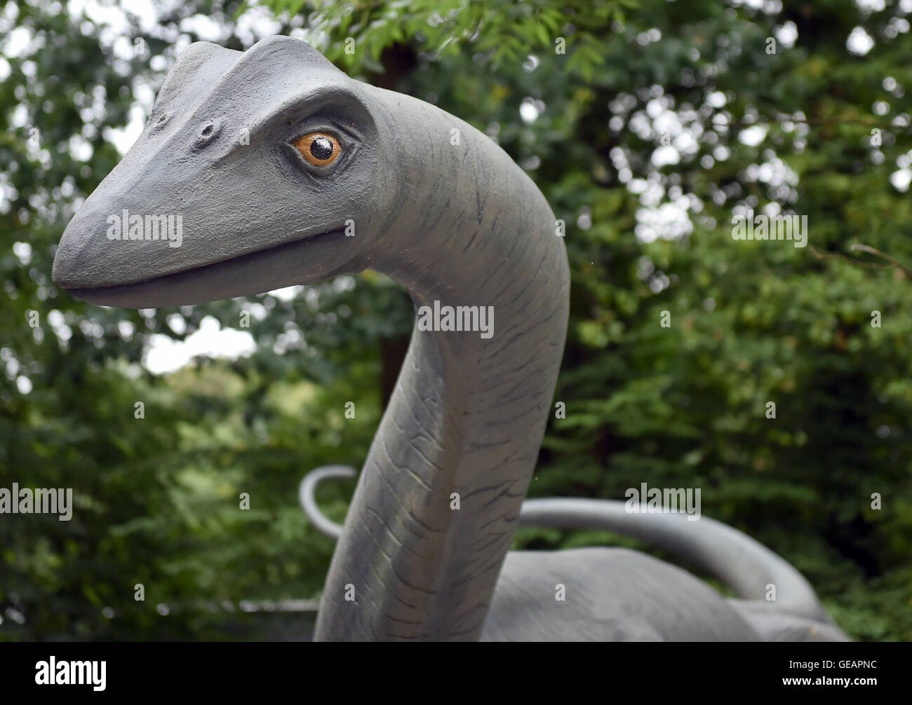 Ein Modell der Barosaurus steht im Saurierpark Saurierpark in ...