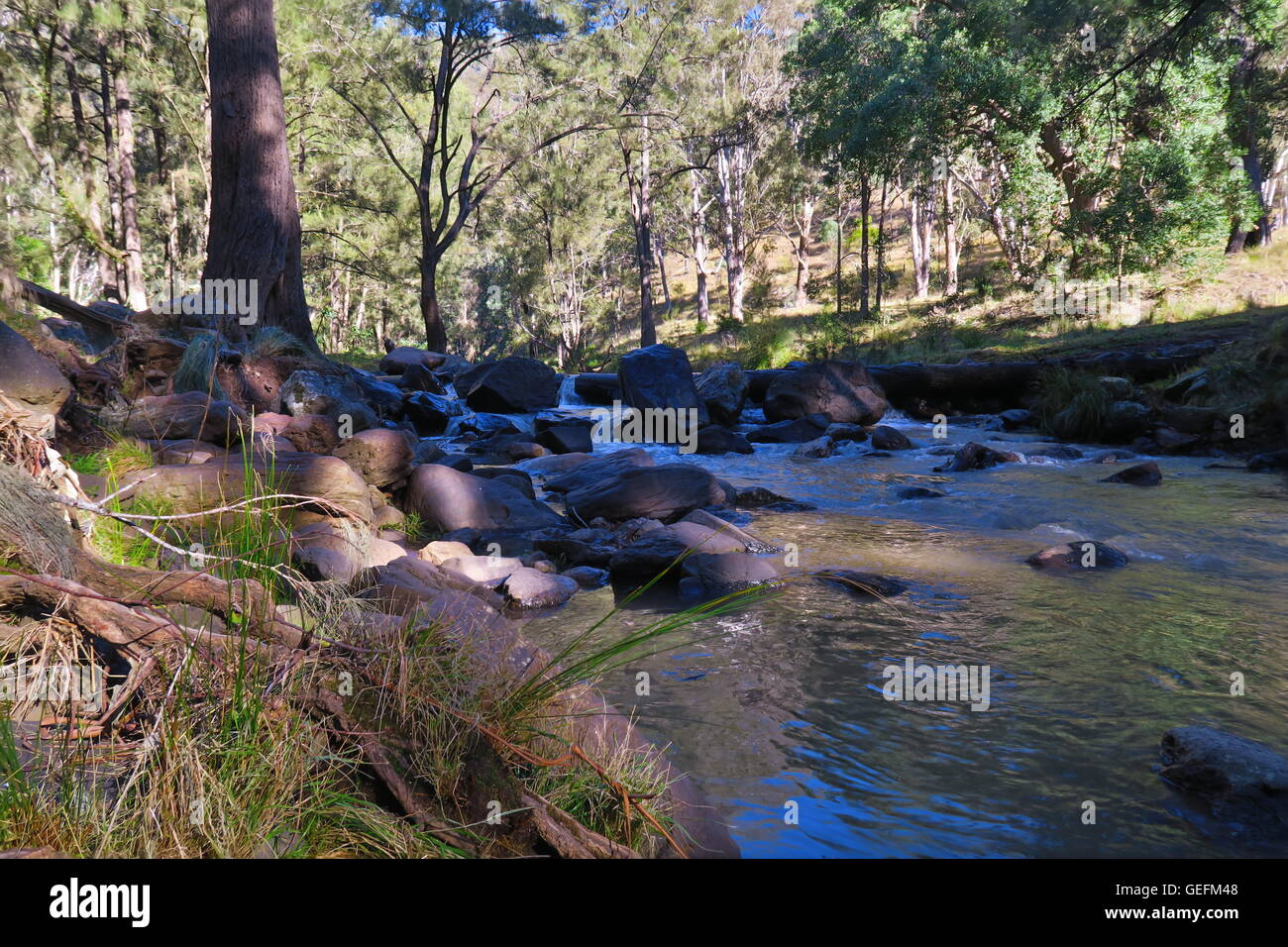 Condamine park -Fotos und -Bildmaterial in hoher Auflösung – Alamy