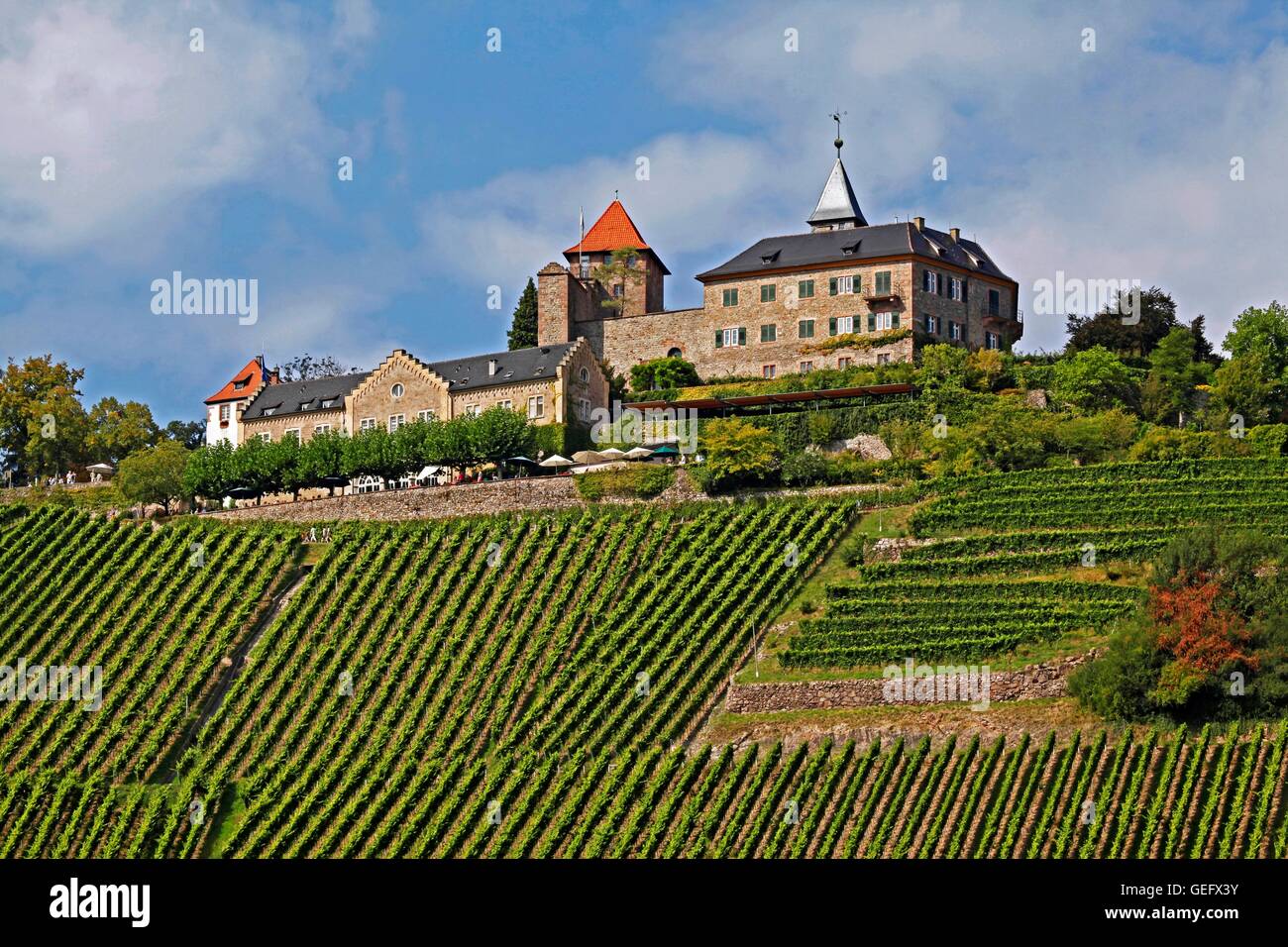 Schloss eberstein und weinberge -Fotos und -Bildmaterial in hoher Auflösung – Alamy
