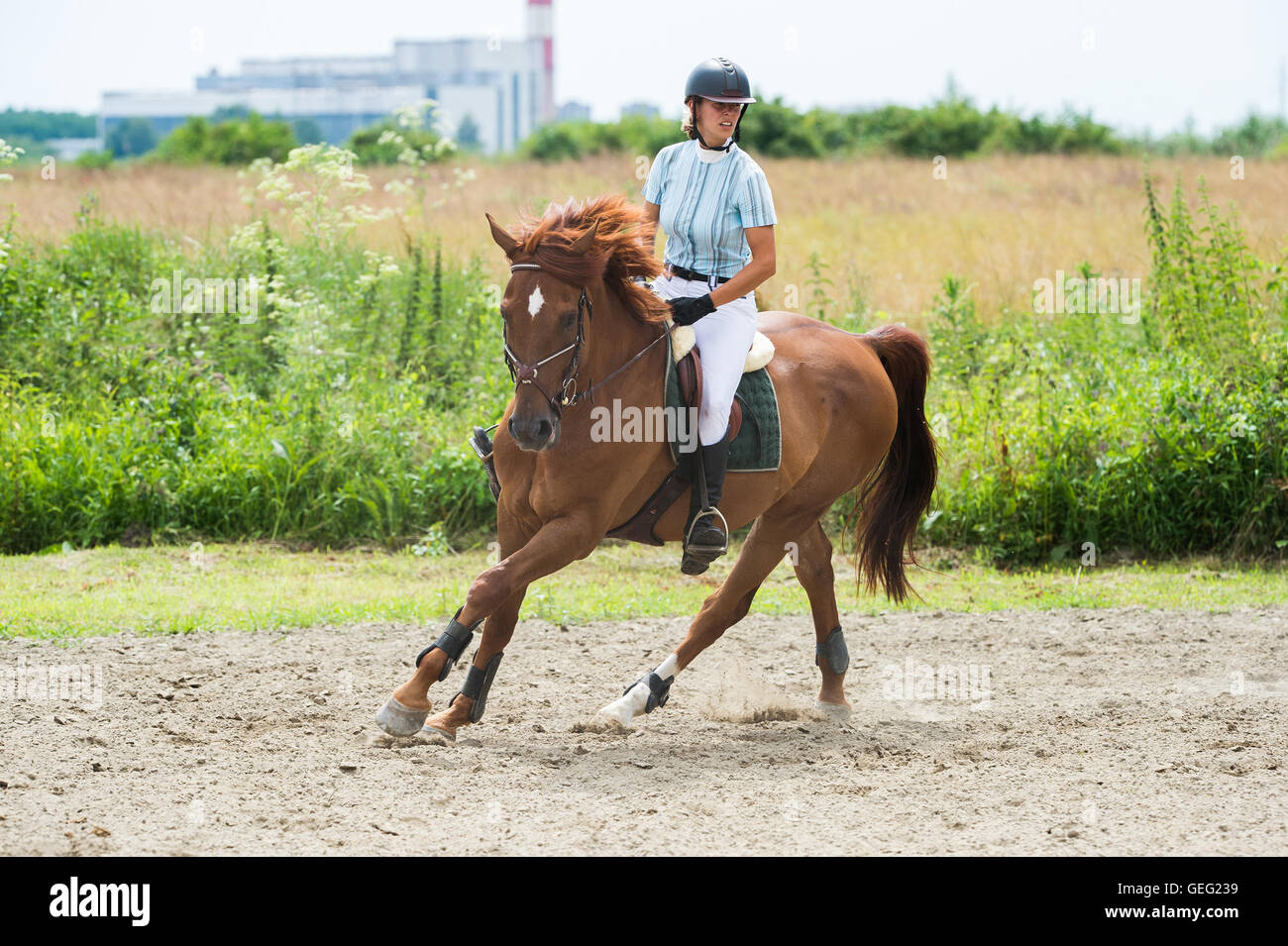 Pferdesport, Pferd, springen, Springreiten, Reiten Stockfotografie - Alamy