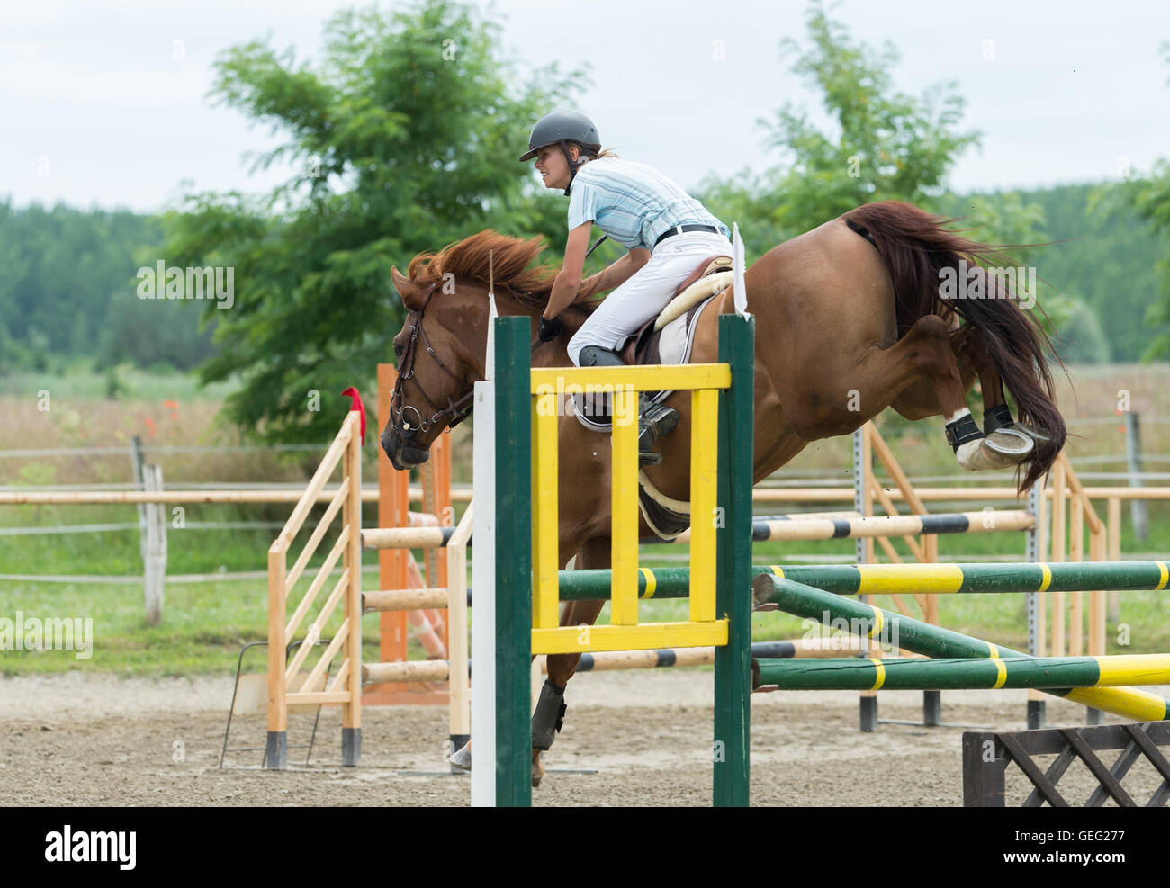 Equestrian Sports Stockfotos und -bilder Kaufen - Alamy