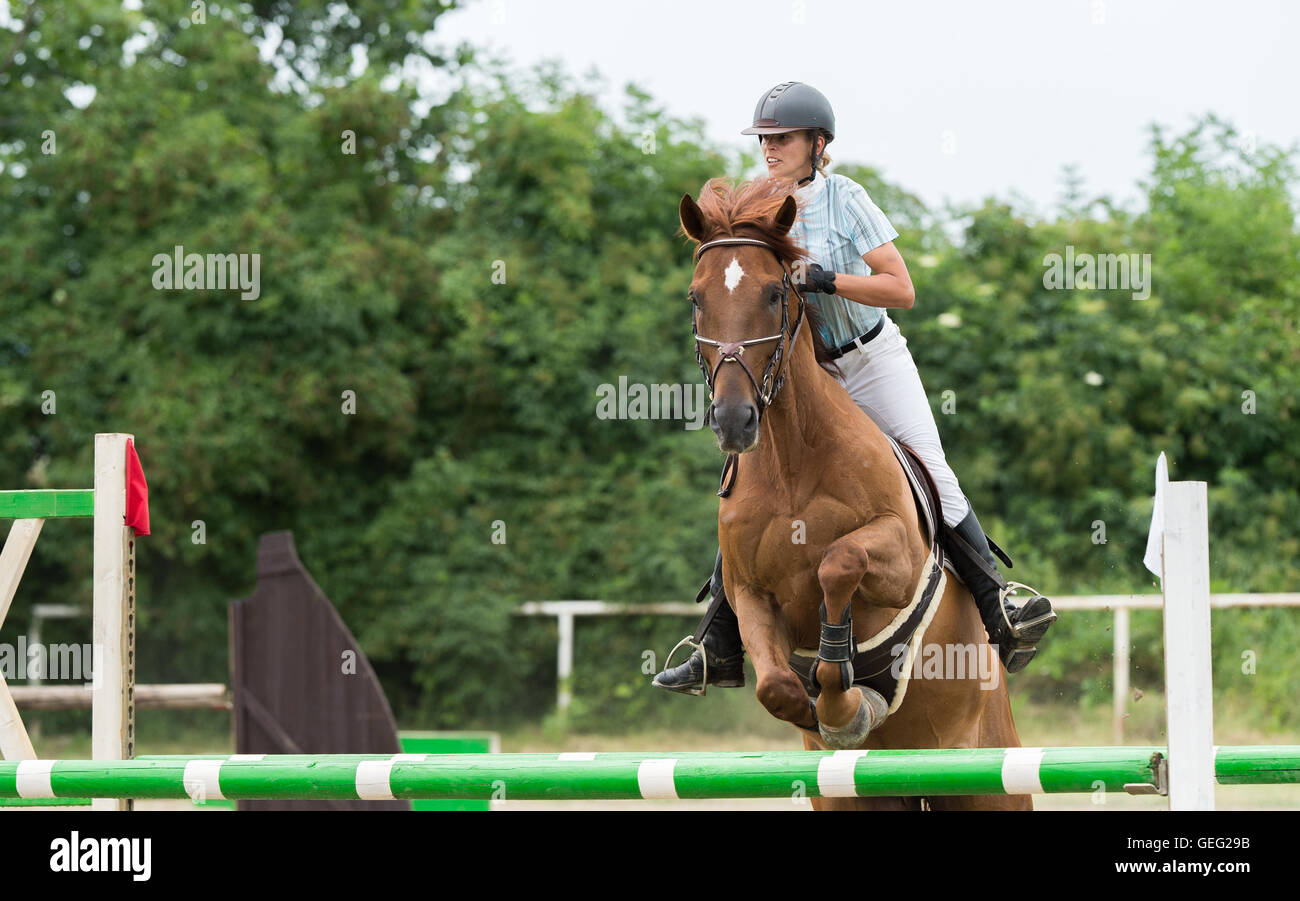 Pferd Springen Zaun Stockfotos und -bilder Kaufen - Alamy