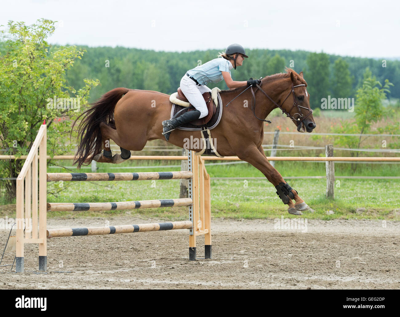 Pferd Springen Zaun Stockfotos und -bilder Kaufen - Alamy