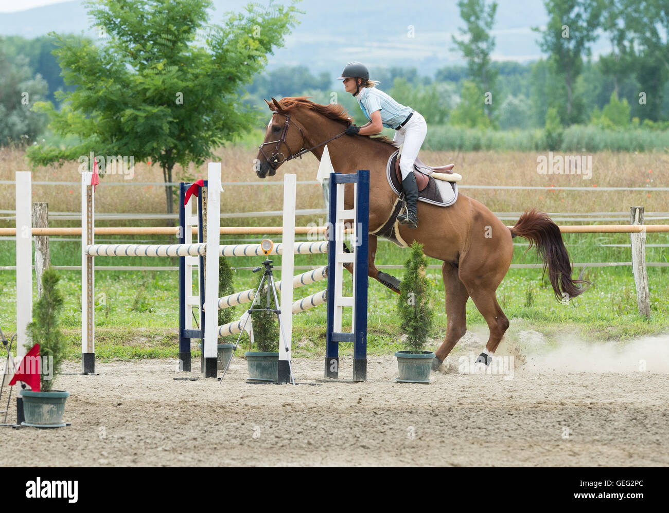 Pferd Springen Zaun Stockfotos und -bilder Kaufen - Alamy