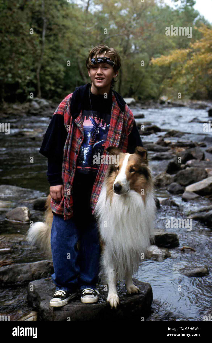 Lassie Lassie 1994 Stockfotos und -bilder Kaufen - Alamy