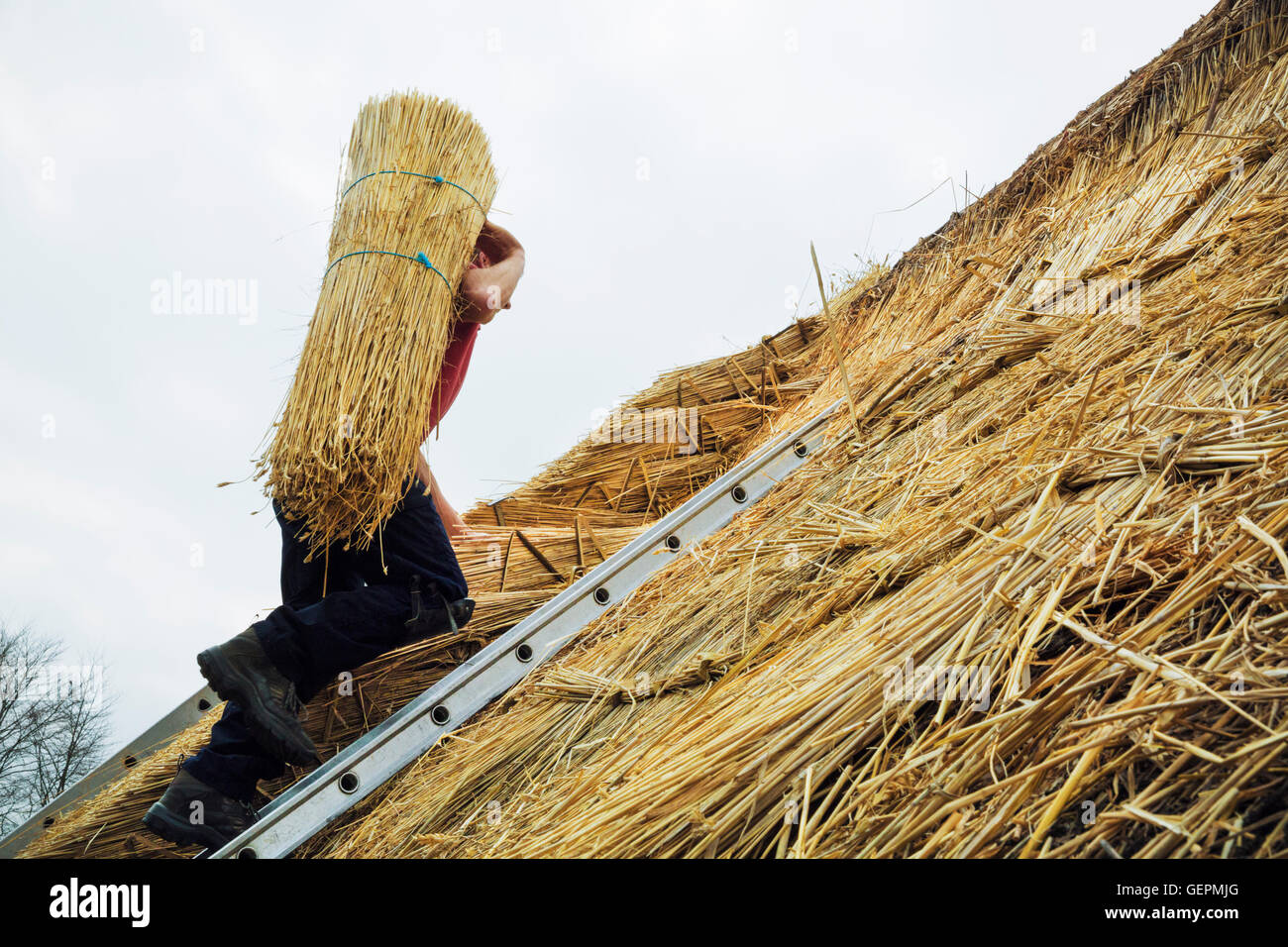 Roof thatcher -Fotos und -Bildmaterial in hoher Auflösung – Alamy