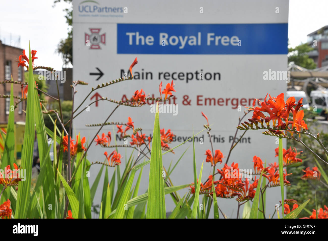 Royal free london nhs foundation trust -Fotos und -Bildmaterial in ...
