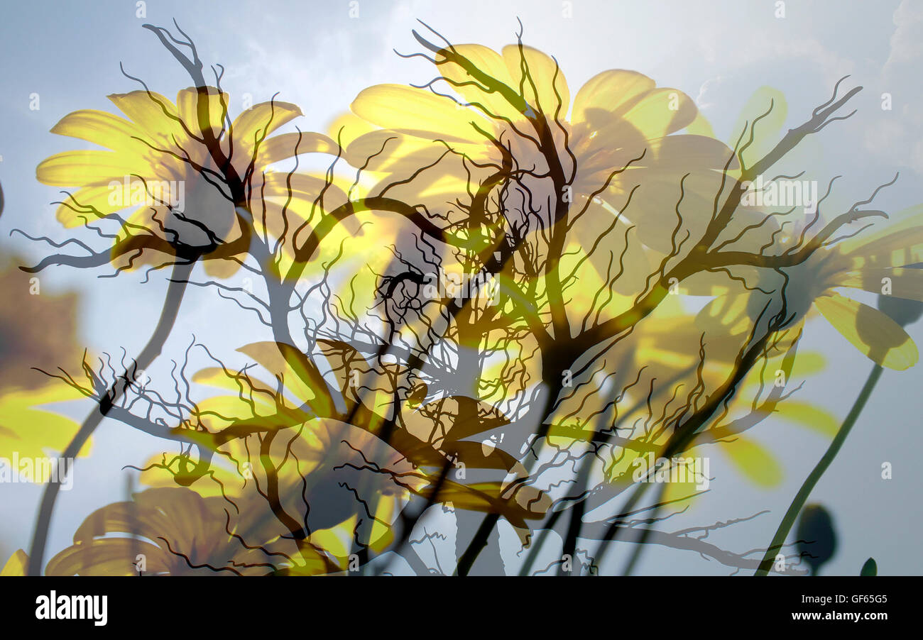 Misserfolg und erfolg -Fotos und -Bildmaterial in hoher Auflösung – Alamy