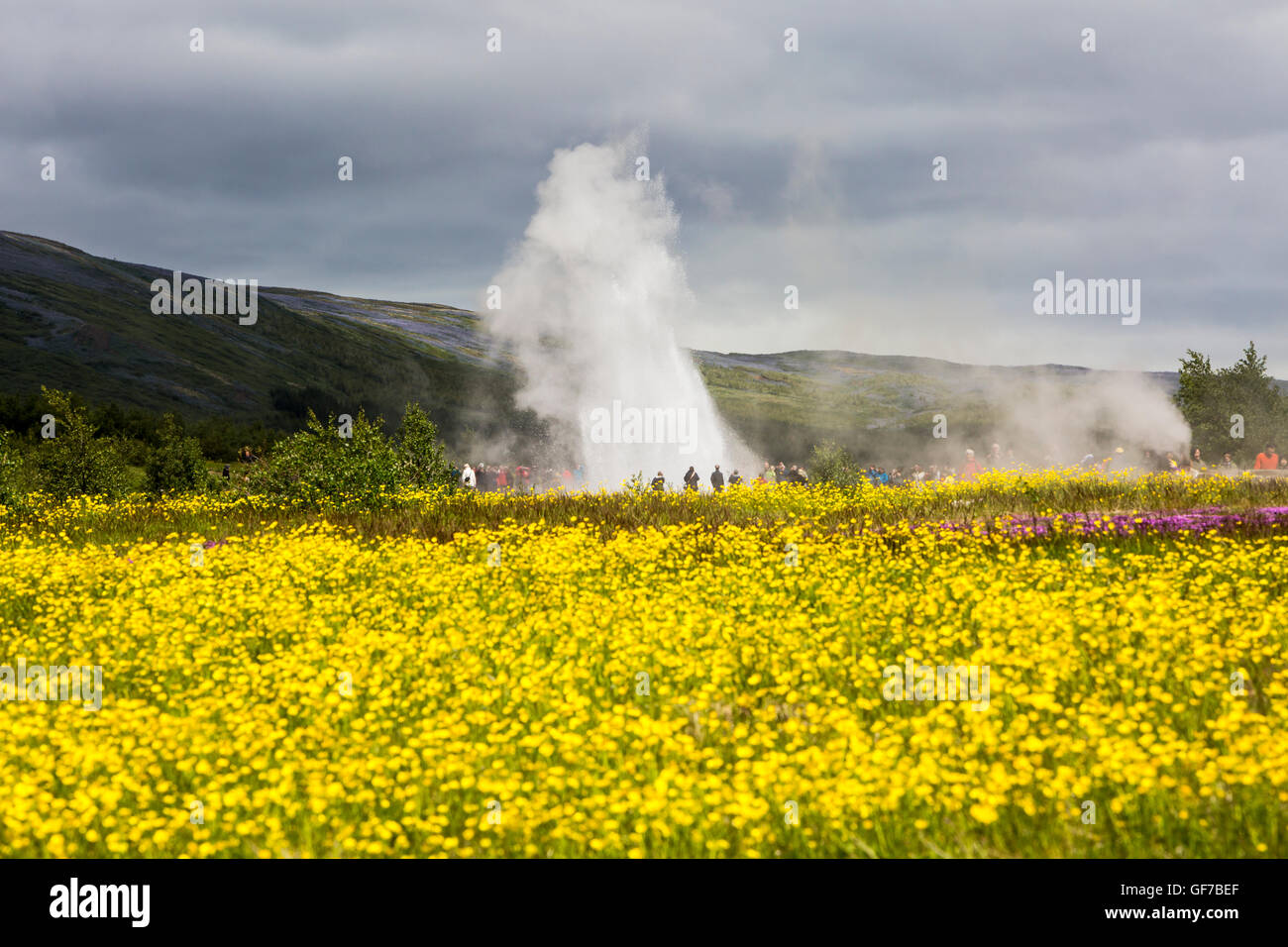 Strokkur Geysir Hot Spring Area, Tüllen Wasser 30 Meter (100 ft), South ...