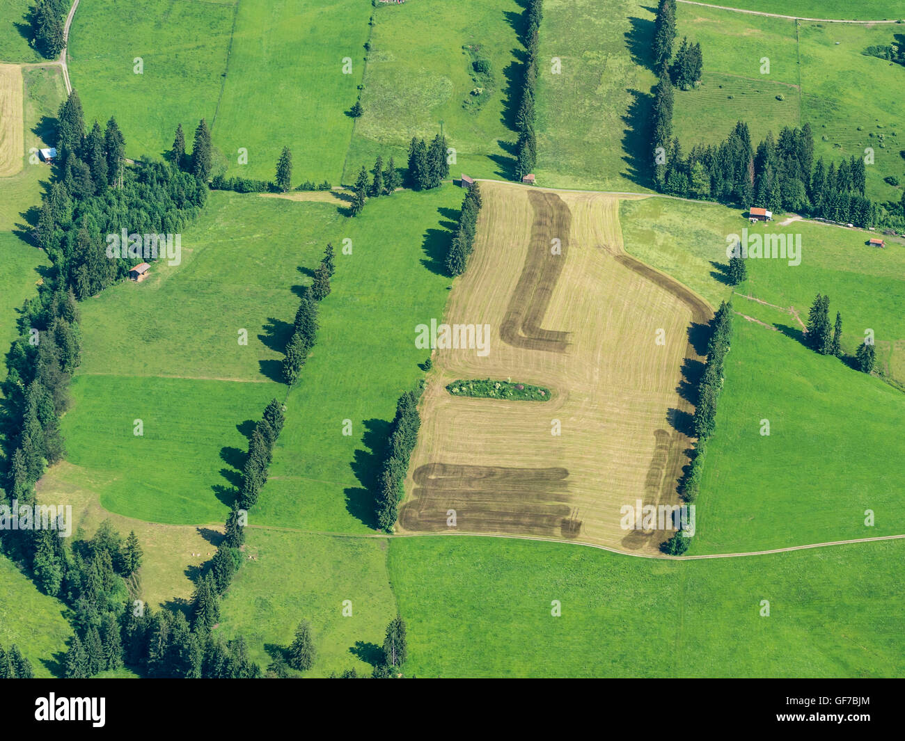 Wiesen und felder -Fotos und -Bildmaterial in hoher Auflösung – Alamy