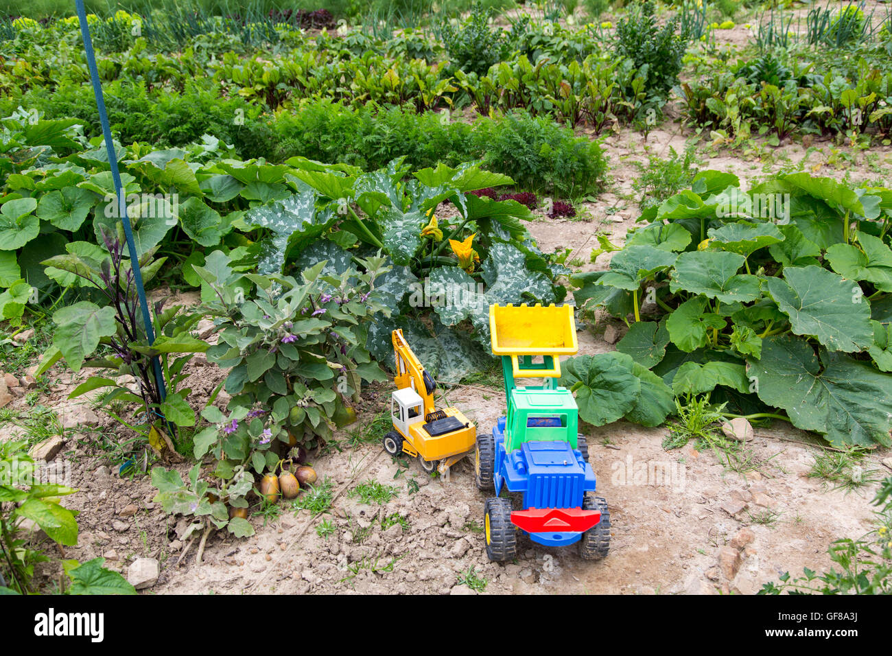 Kinder garten ernte -Fotos und -Bildmaterial in hoher Auflösung – Alamy