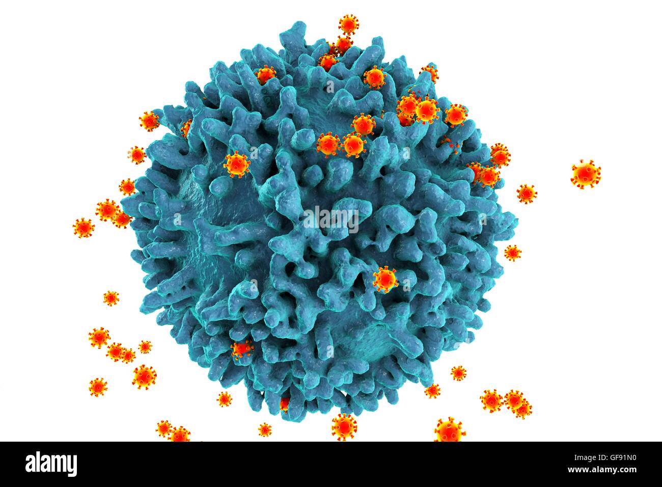 HIV-Viren infizieren T-Lymphozyten, Computer Bild. Die Oberfläche der T ...
