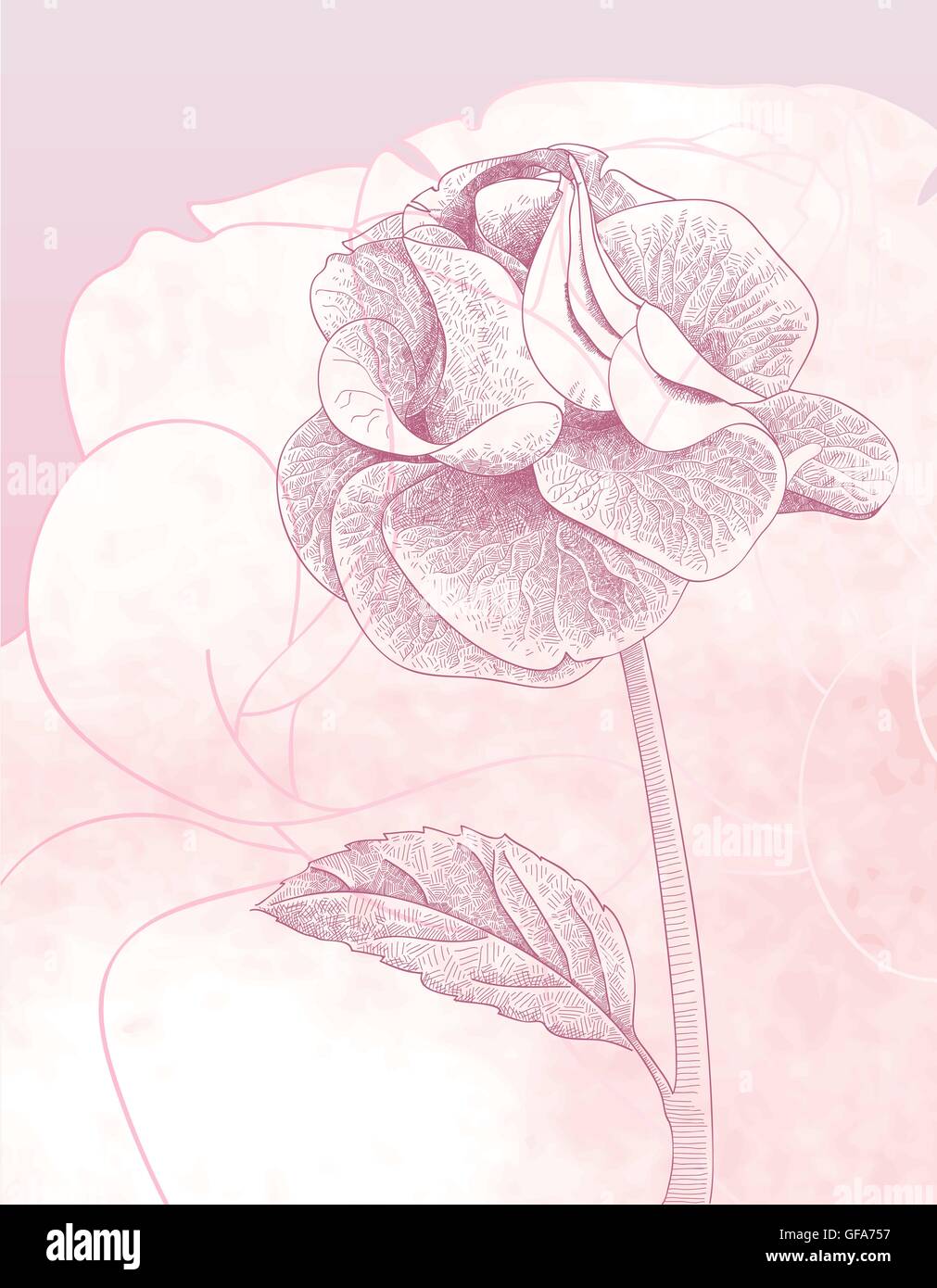 Hand gezeichnet sanfte Rose auf rosa Hintergrund Stock-Vektorgrafik - Alamy