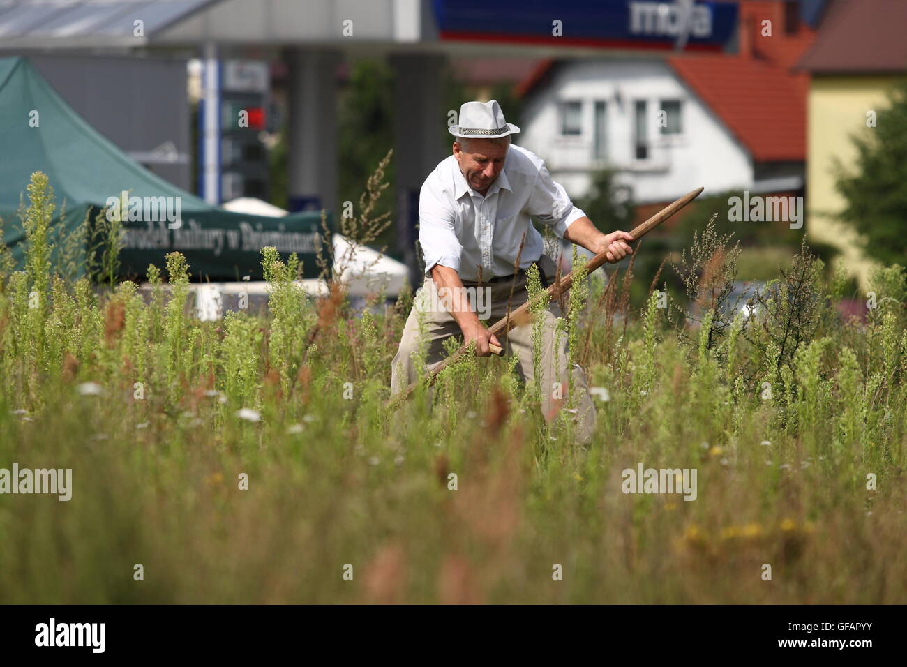 Sense langes gras -Fotos und -Bildmaterial in hoher Auflösung – Alamy
