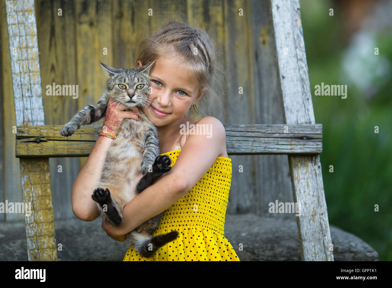 Katze selfie -Fotos und -Bildmaterial in hoher Auflösung – Alamy