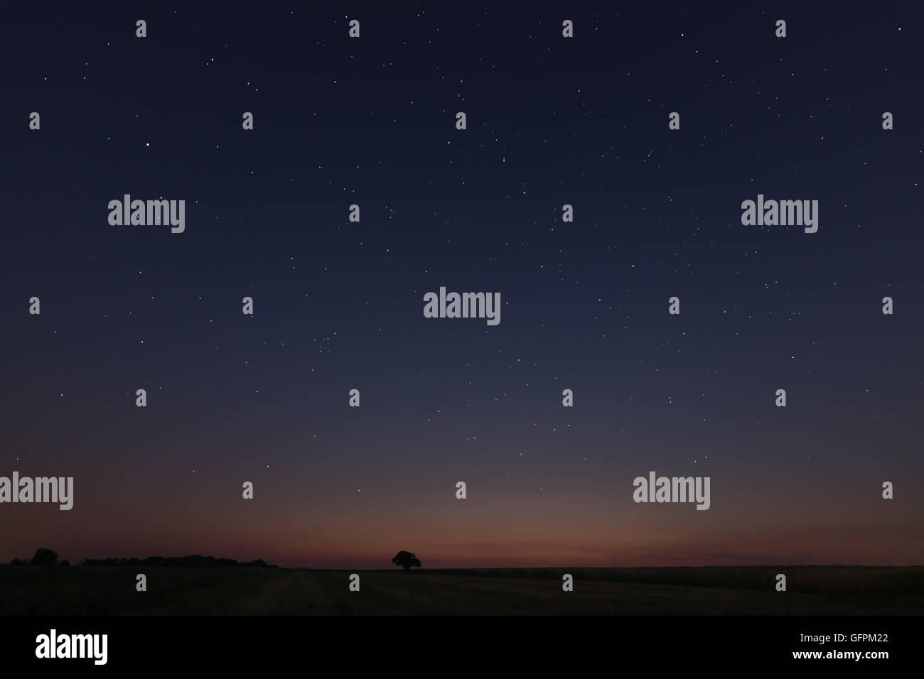 Sternennacht, schönen Stern am Sonnenuntergang Feld mit großen ...