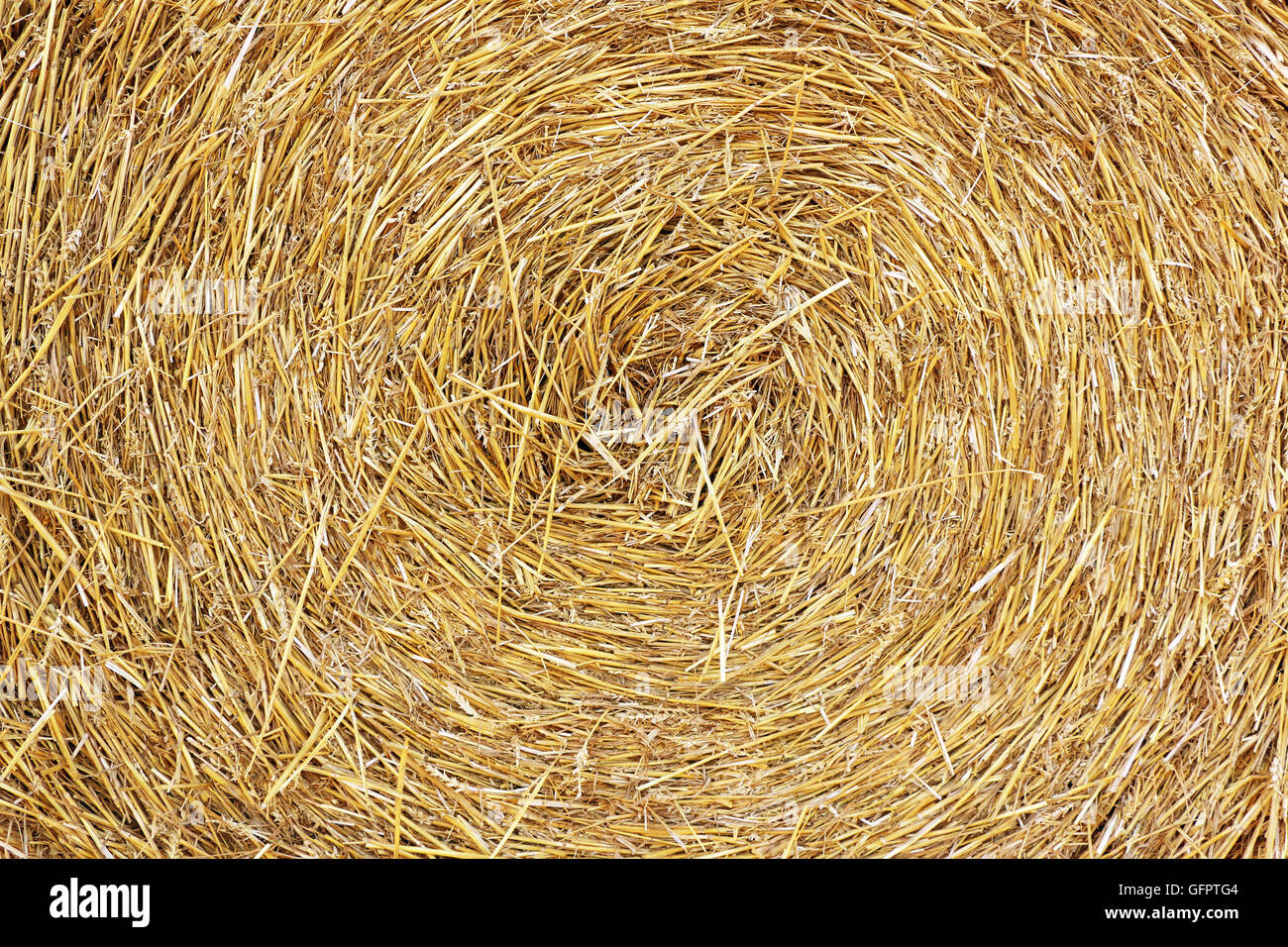 Heuhaufen hintergrund -Fotos und -Bildmaterial in hoher Auflösung – Alamy