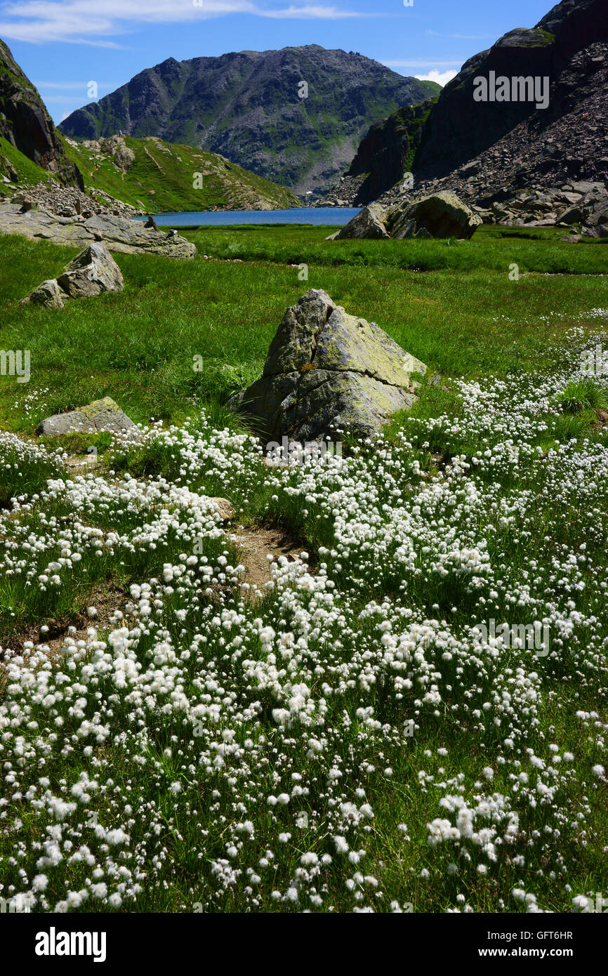 Rhein ursprung -Fotos und -Bildmaterial in hoher Auflösung – Alamy