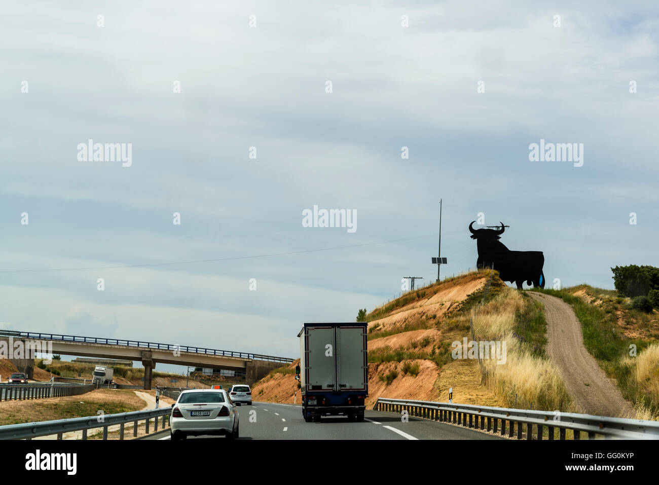 Osborne stier -Fotos und -Bildmaterial in hoher Auflösung – Alamy